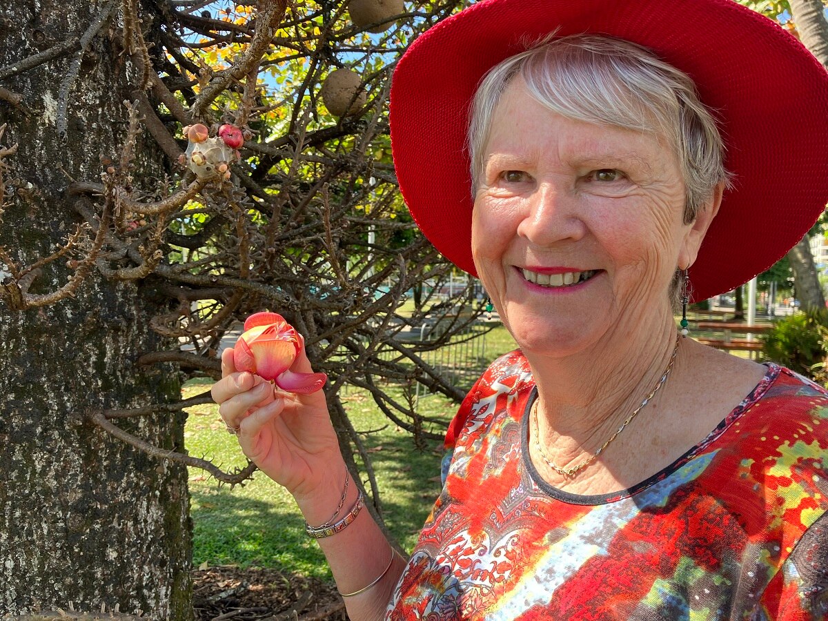 Fran's fabulous flowering trees of Cairns continues to inspire - ABC listen