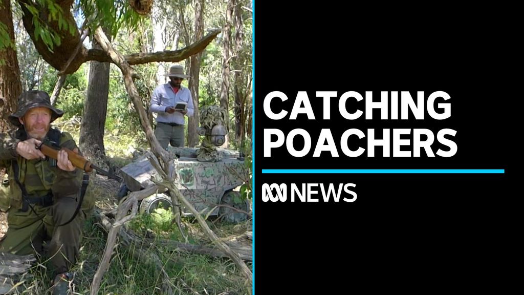 Robotics - Topic - ABC News