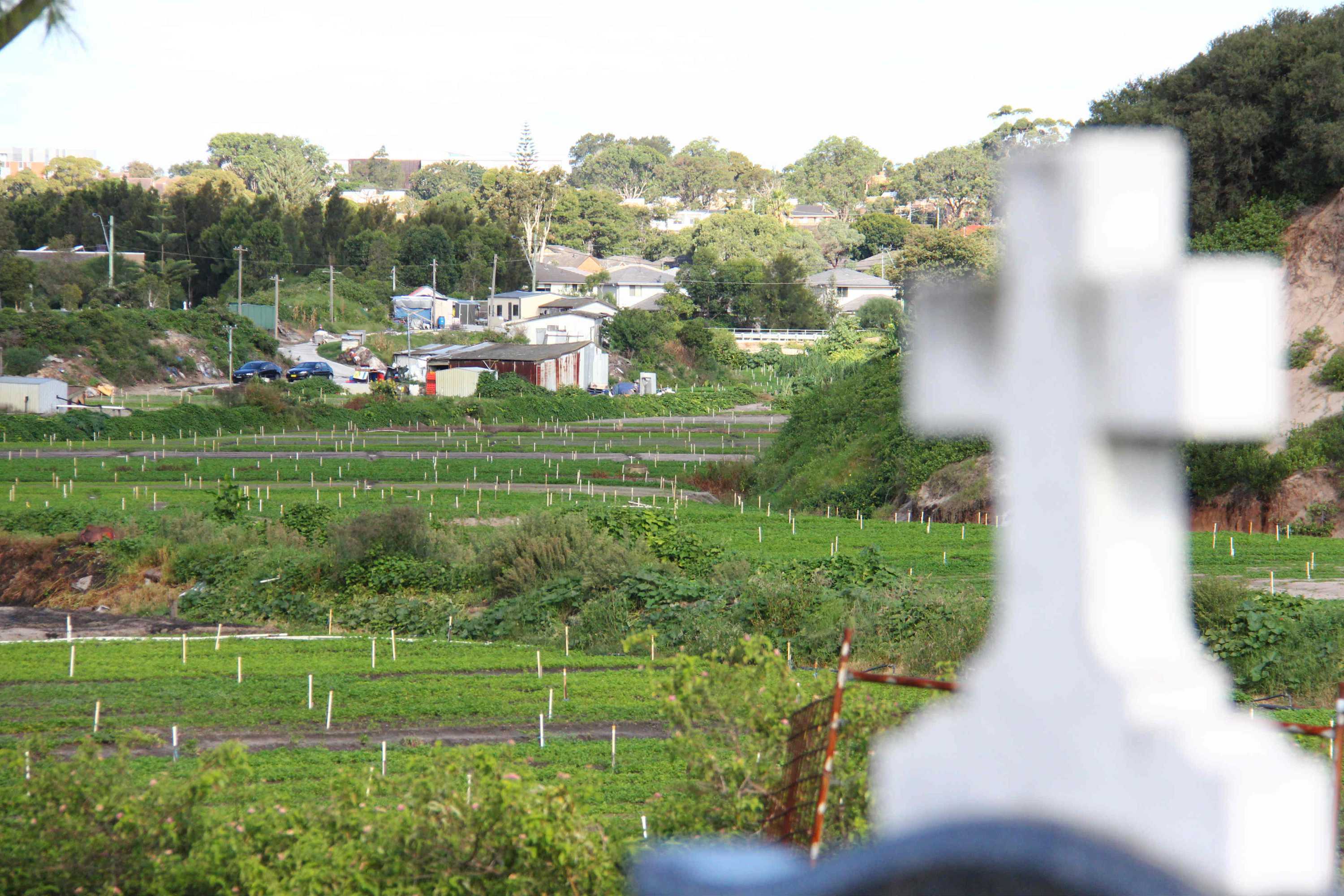 Botany Cemetery expansion plans move ahead, Aboriginal land claims ...