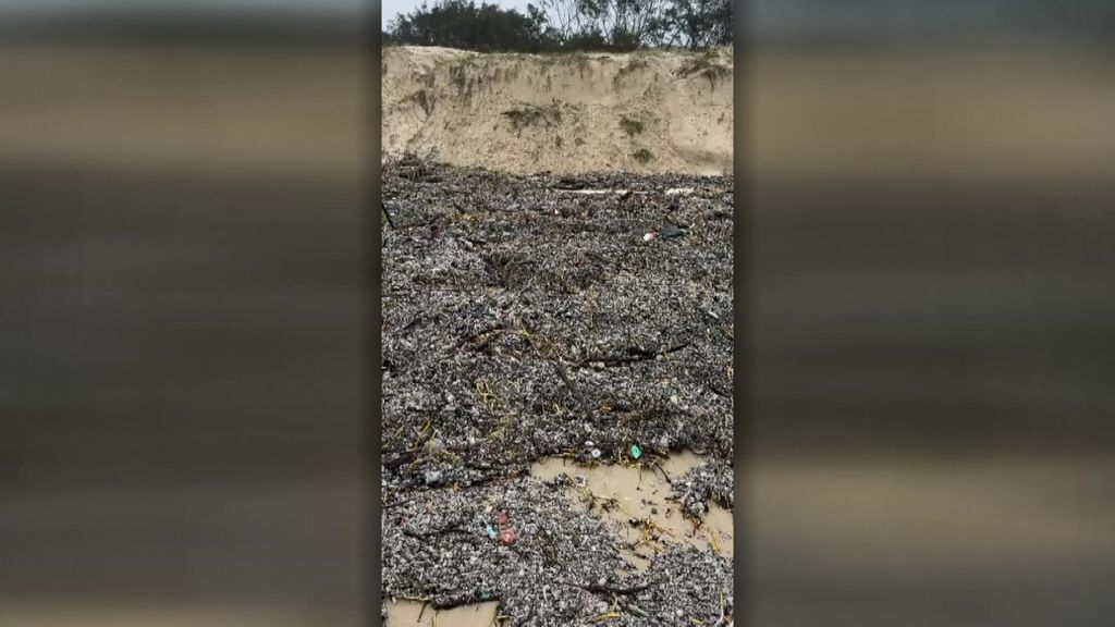 North Stradbroke Island hit by ex-Tropical Cyclone Alfred - ABC News