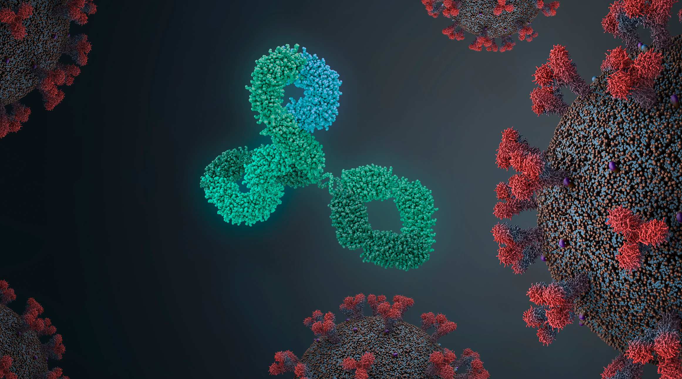 How mRNA vaccines work, and how they might protect us from the flu and ...