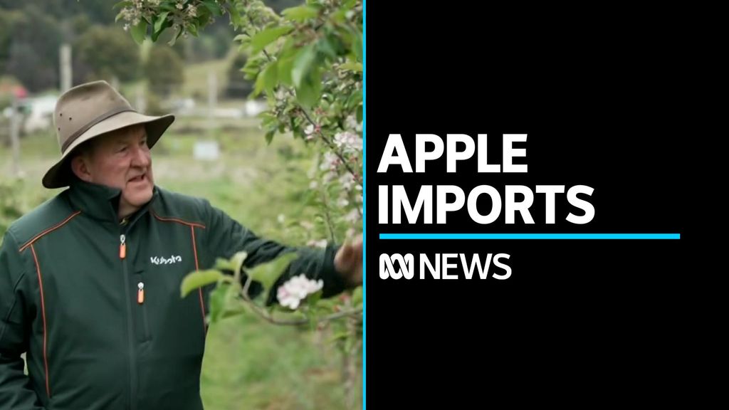 Australia will import apples from United States - ABC News