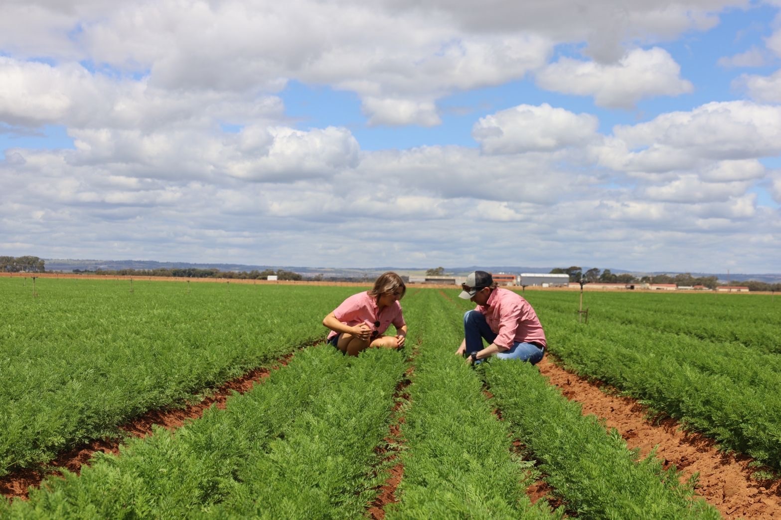 Young women lead the charge as agronomy graduate program doubles participants - ABC News