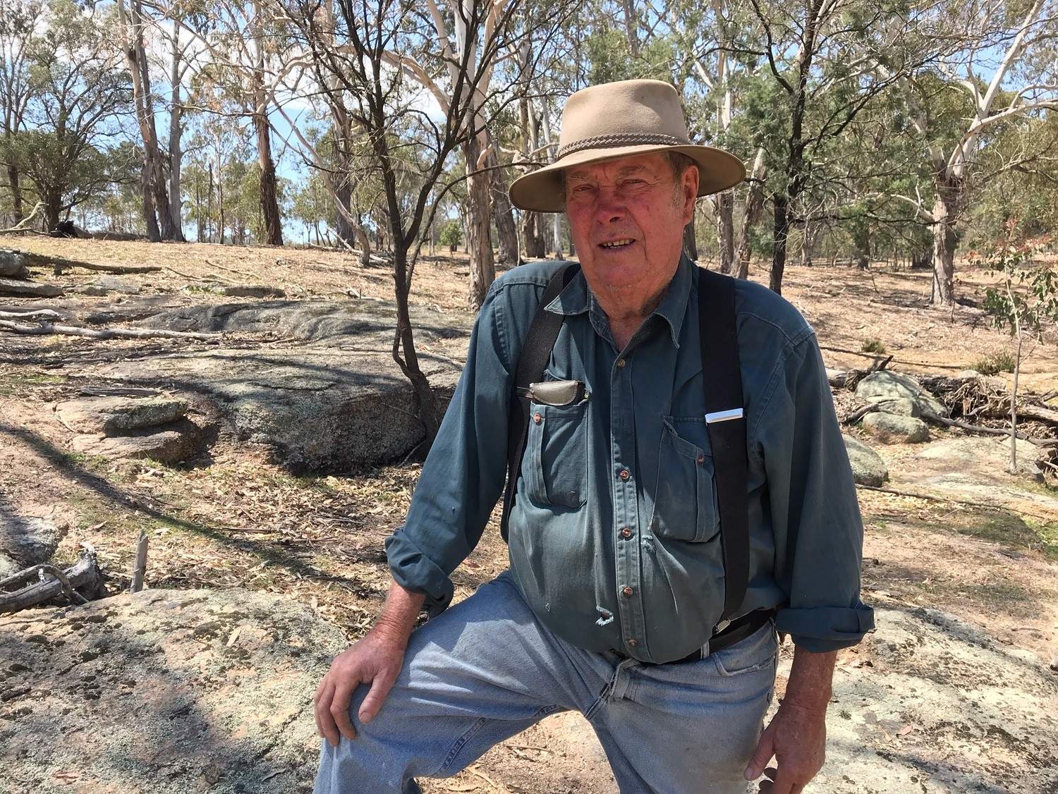 Ongoing drought, calicivirus decimate feral rabbit populations in ...