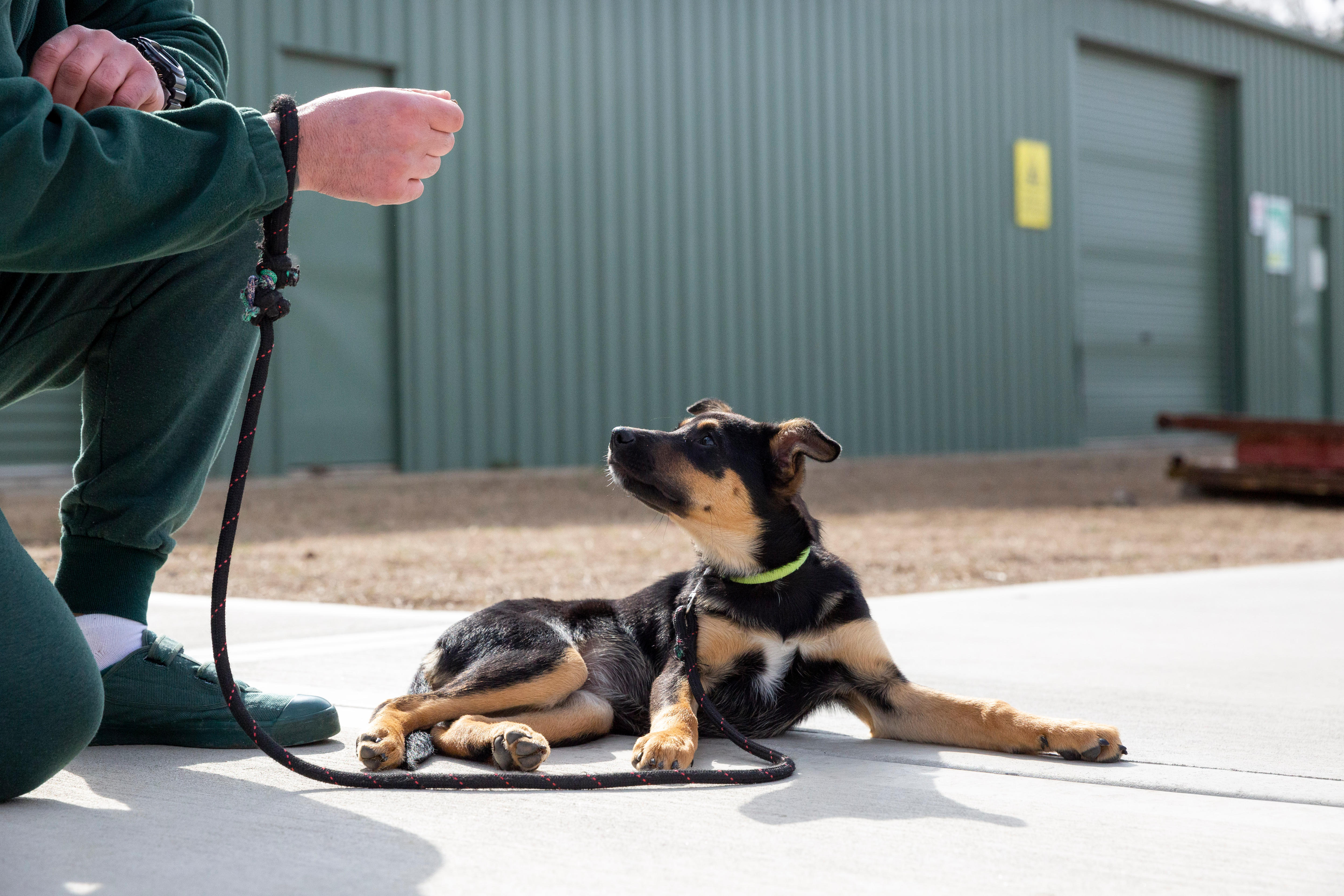 Cooma Correctional Centre inmates, authorities and experts speak about ...