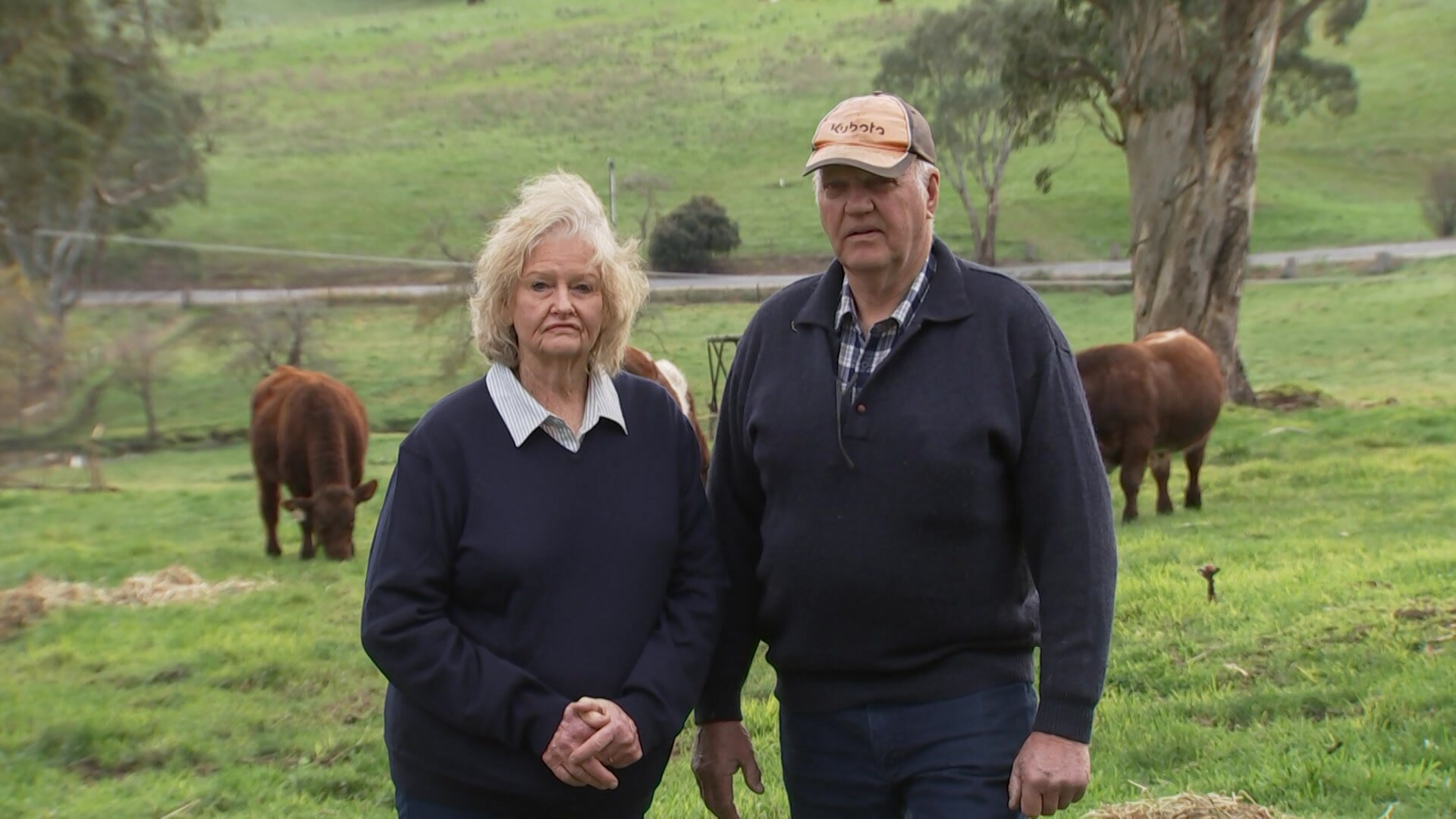 ABC Rural - ABC News