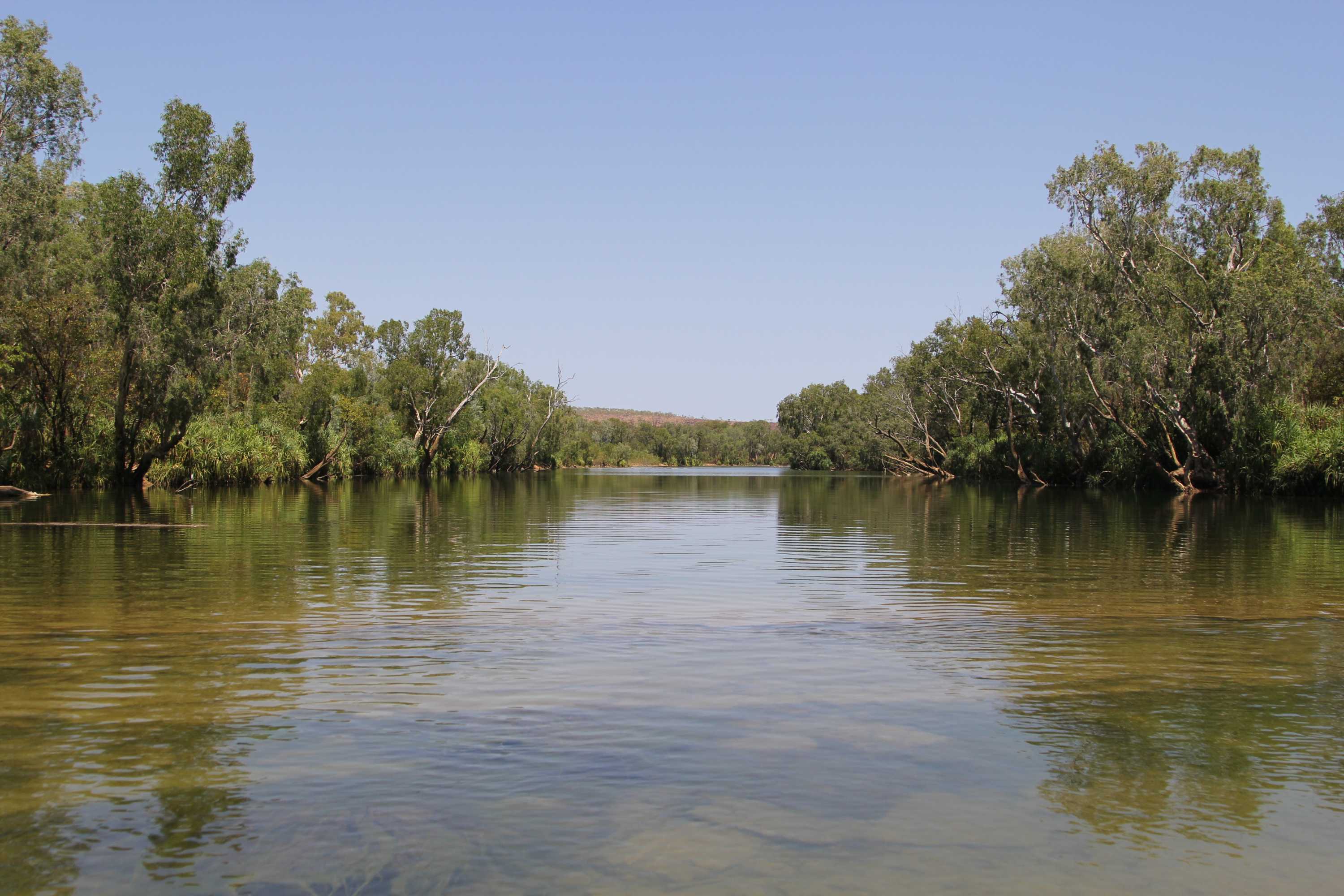 CSIRO testing the 'super food bowl' potential of Northern Territory's ...