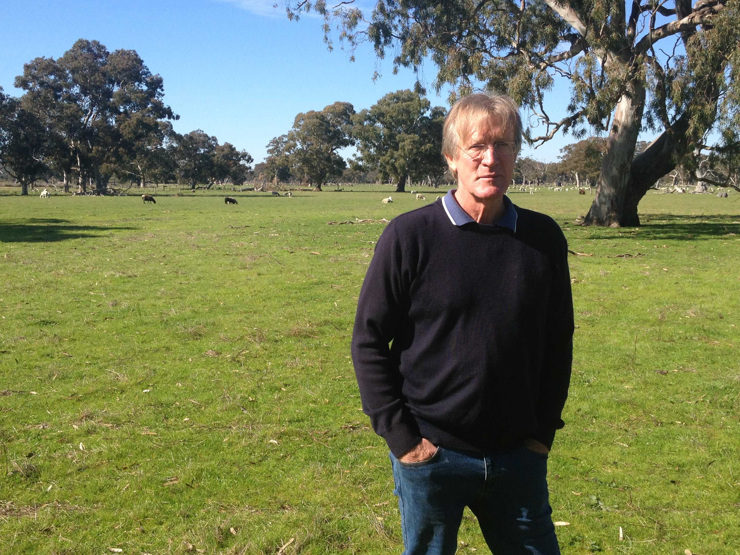 South Australian scientist and farmer creates new breed of highly ...