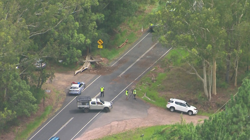 Two people dead after car crushed by falling tree on Sunshine Coast ... Two people dead after car crushed by falling tree on Sunshine Coast ...