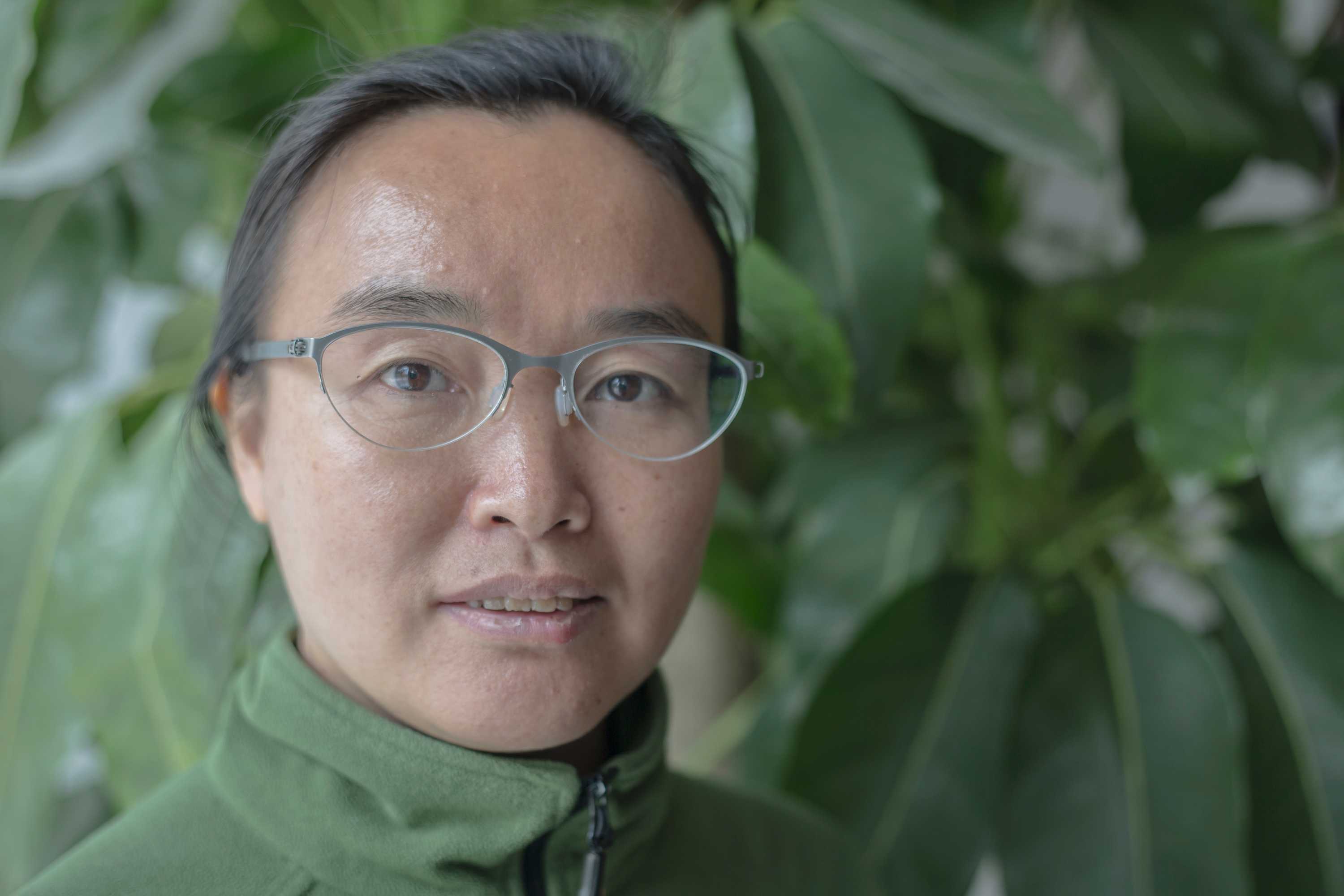 Birdwatching finds new fans in China as environmental awareness grows ...