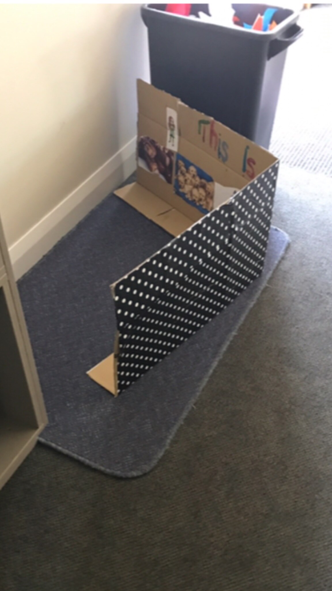 Concerns raised after girl with autism placed in cardboard 'box ...