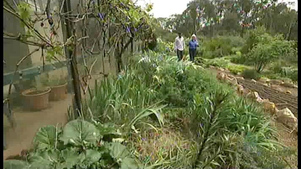Gundaroo Garden - ABC News