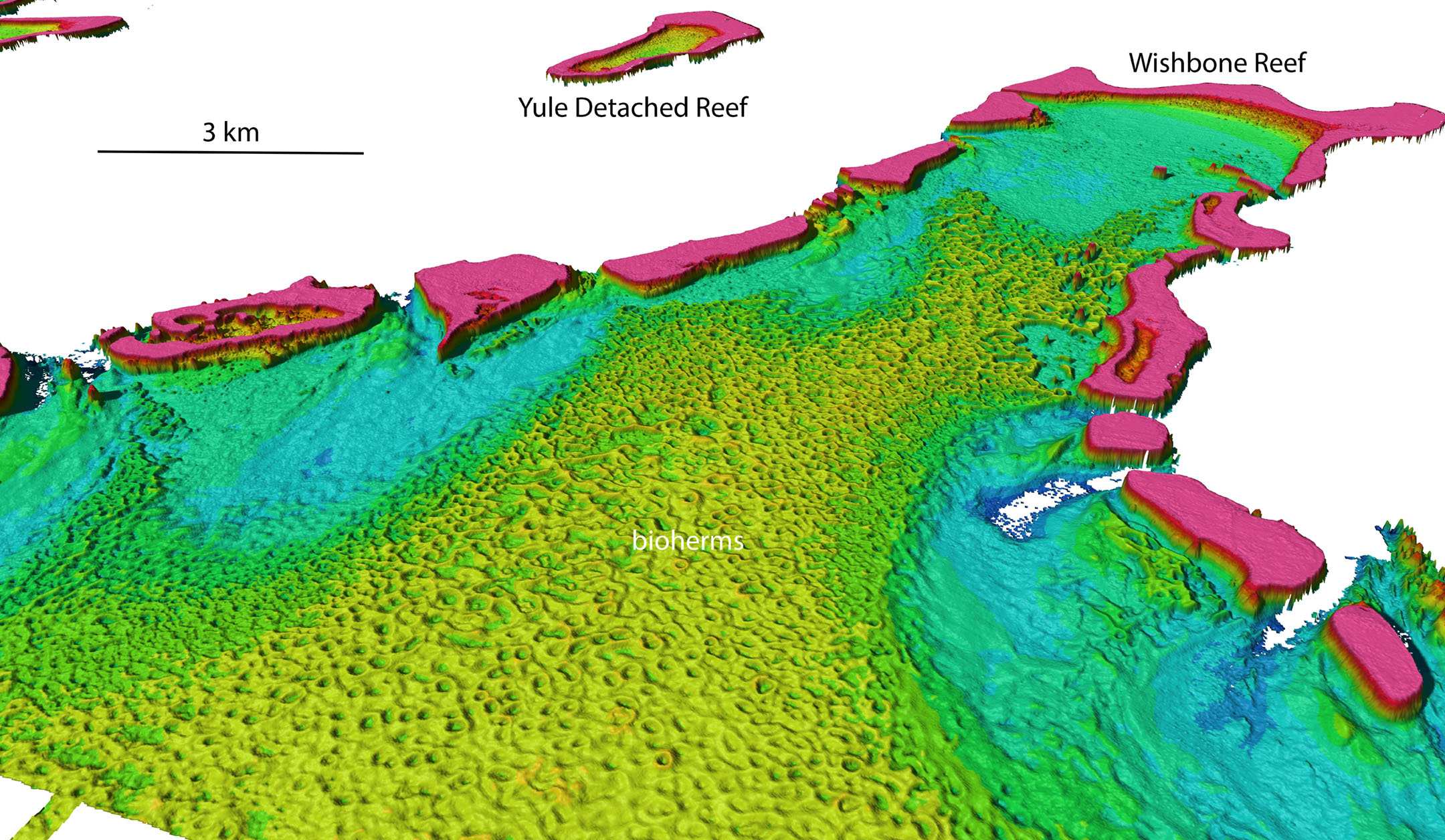 Great Barrier Reef home to giant doughnut-shaped structures with unique ...