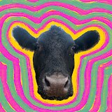 The Year that Made Me: Peter Shmigel, 2022 - ABC listen