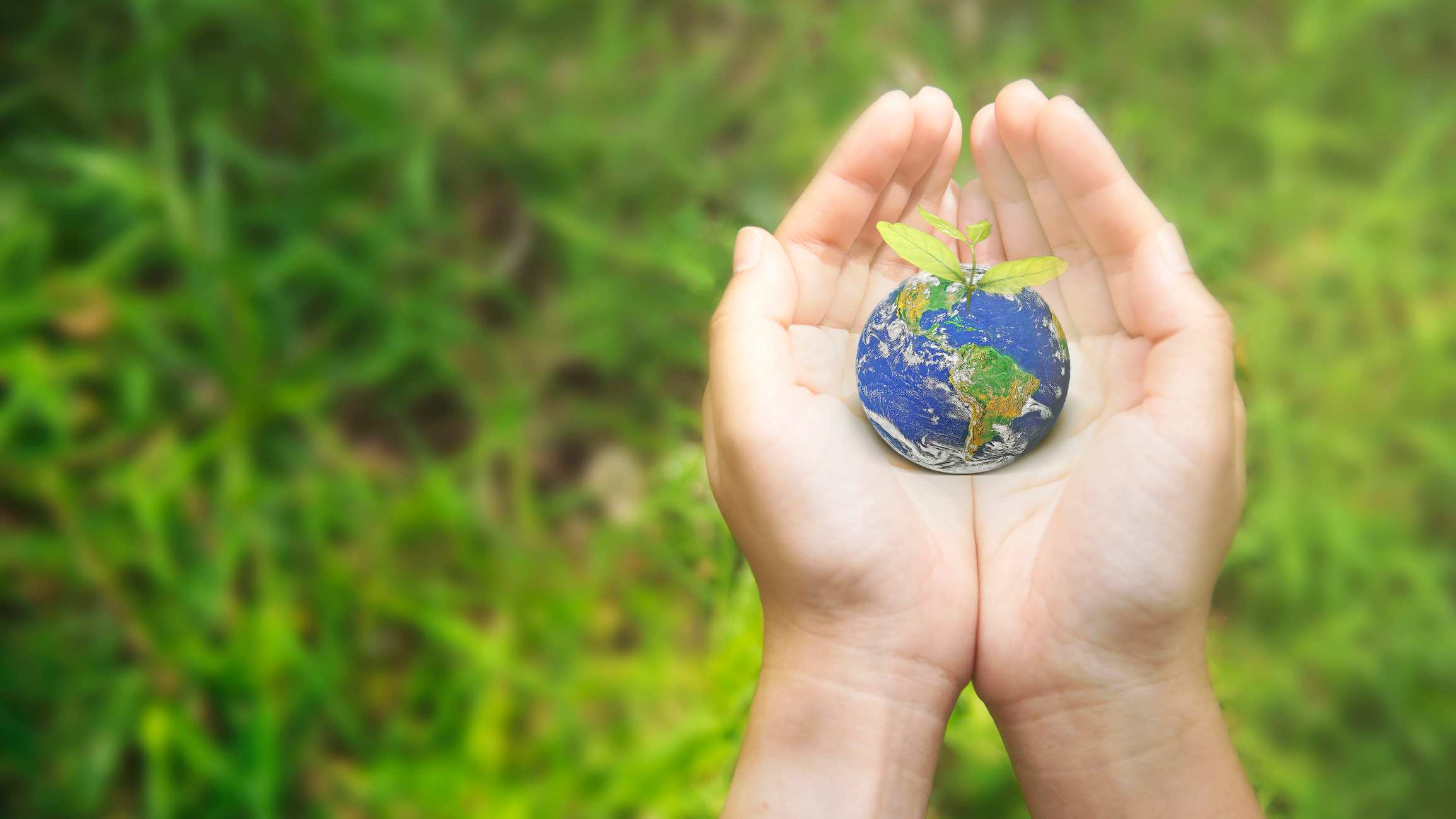 Applying the 'lockdown' approach to nature could help save species ...