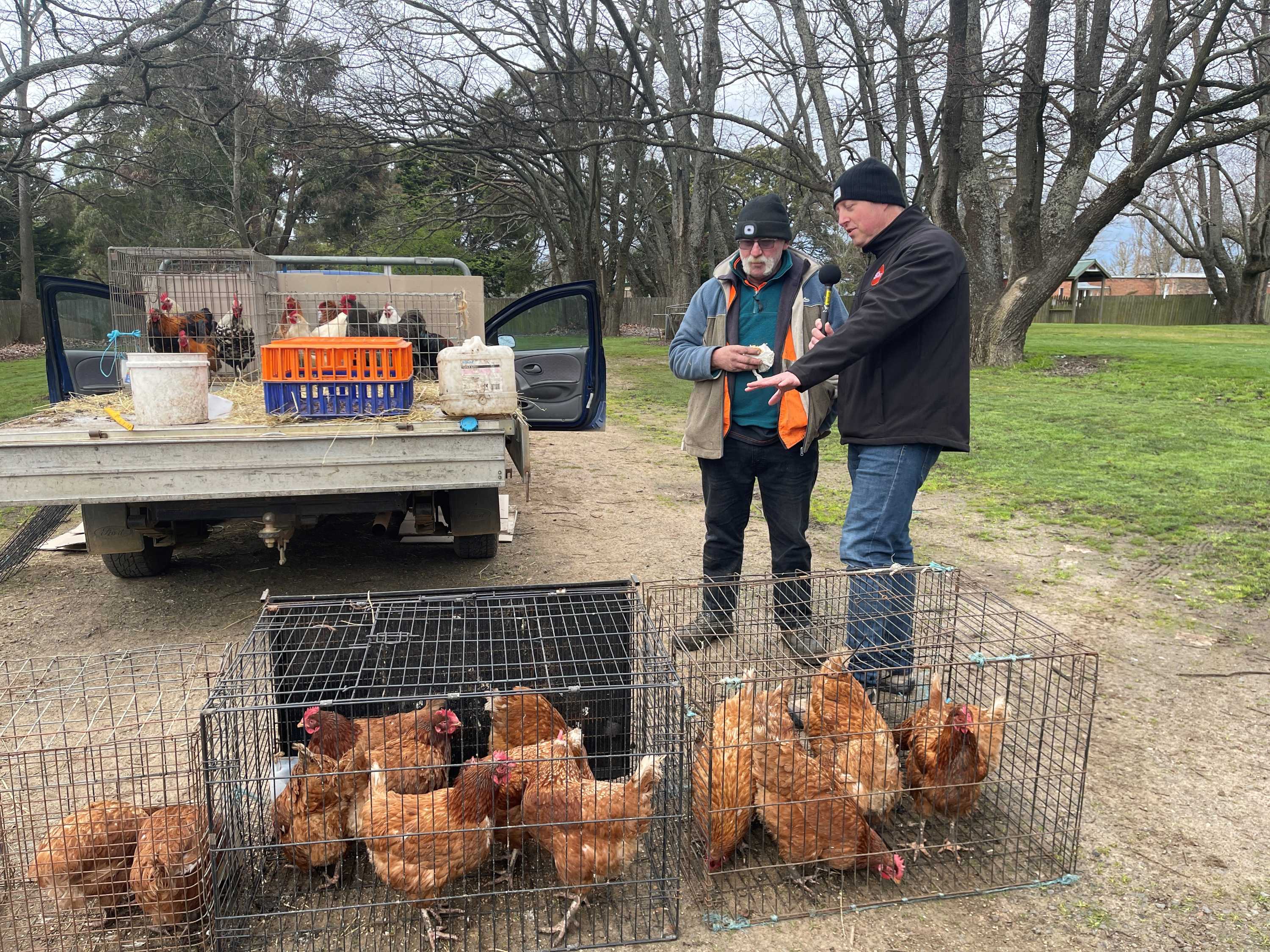 Wandering the Evandale Market - ABC listen