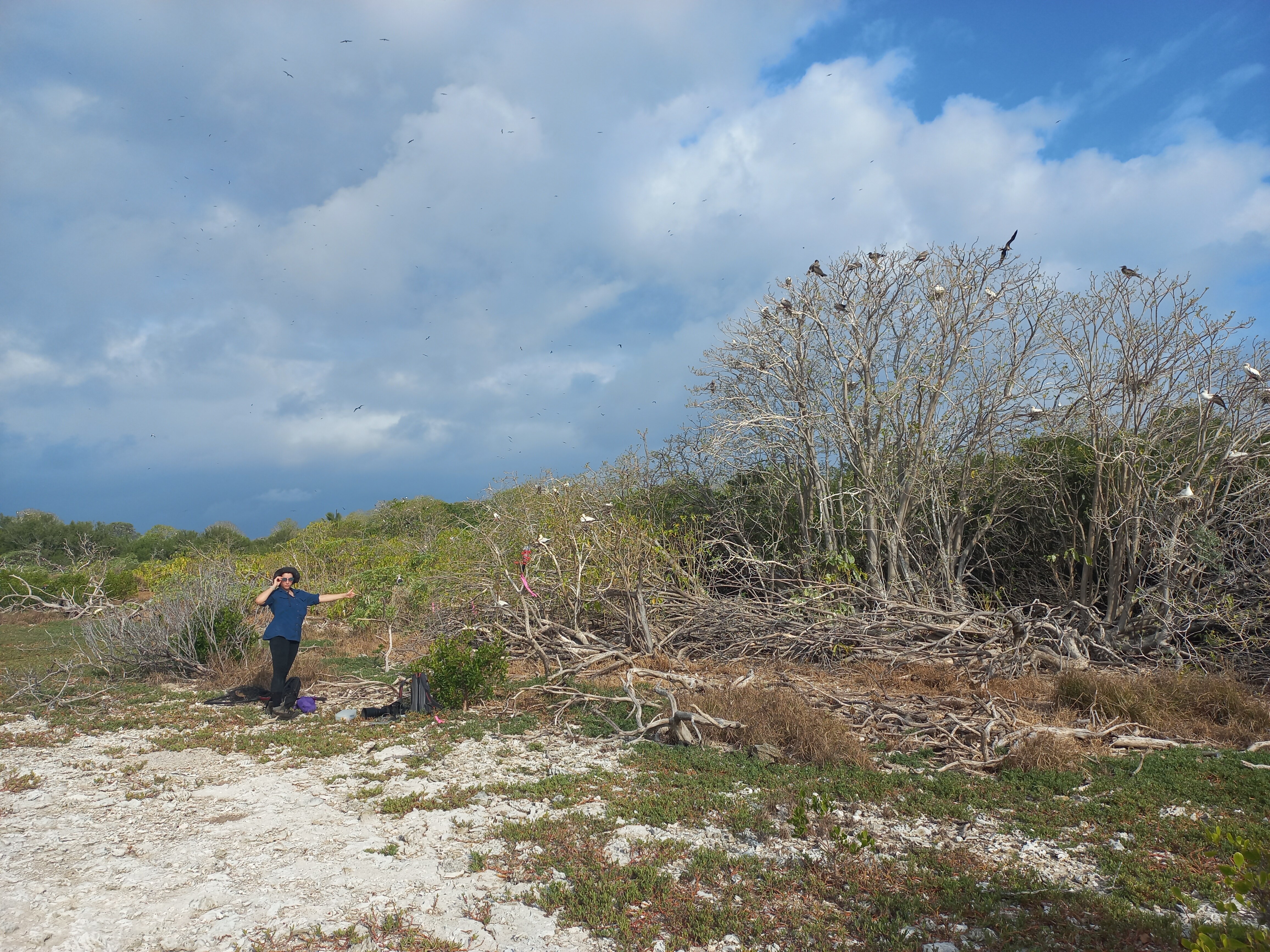 PhD enrolments decline in Australia as economic pressures discourage ...