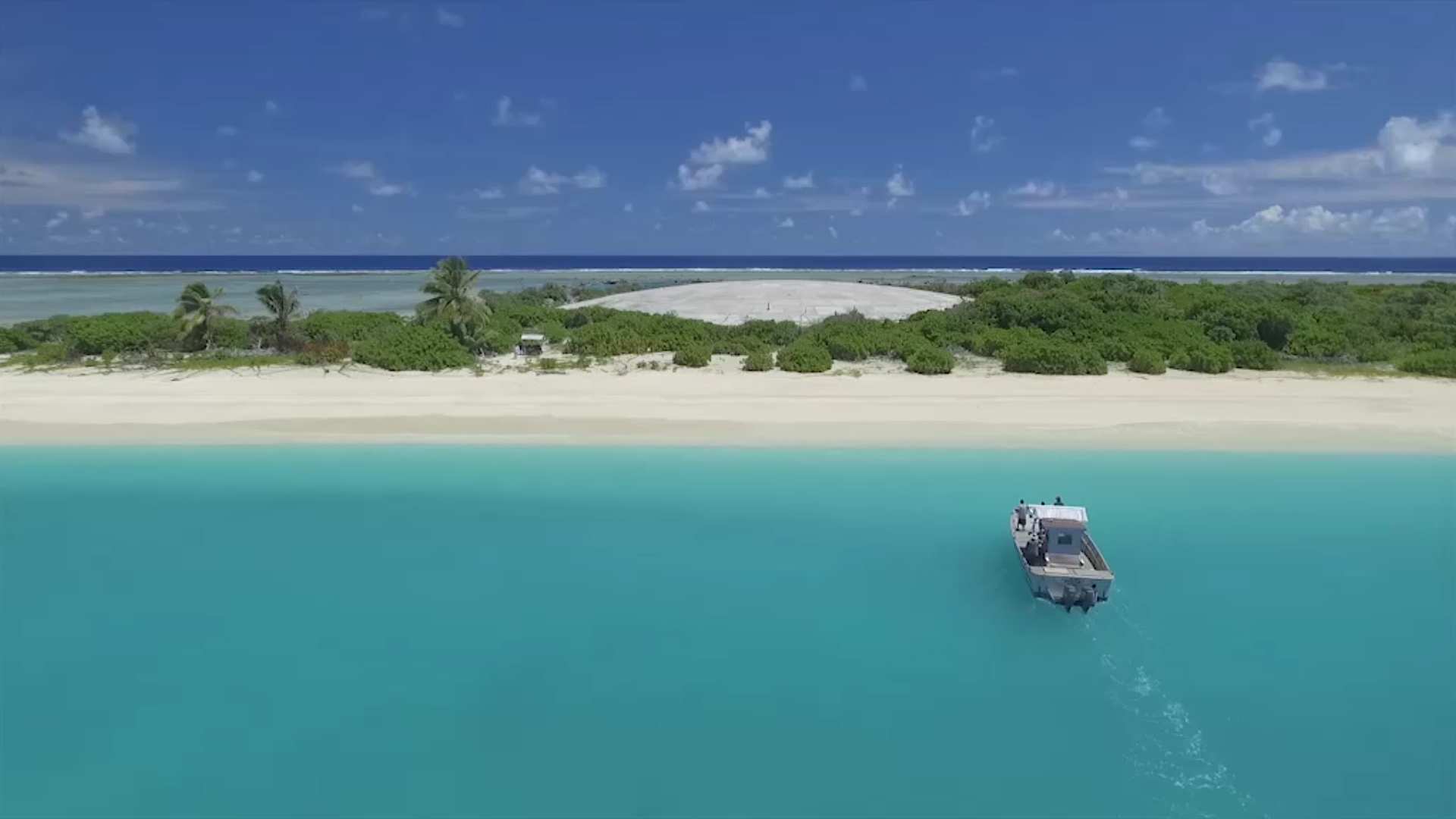 A poison in our island - ABC News