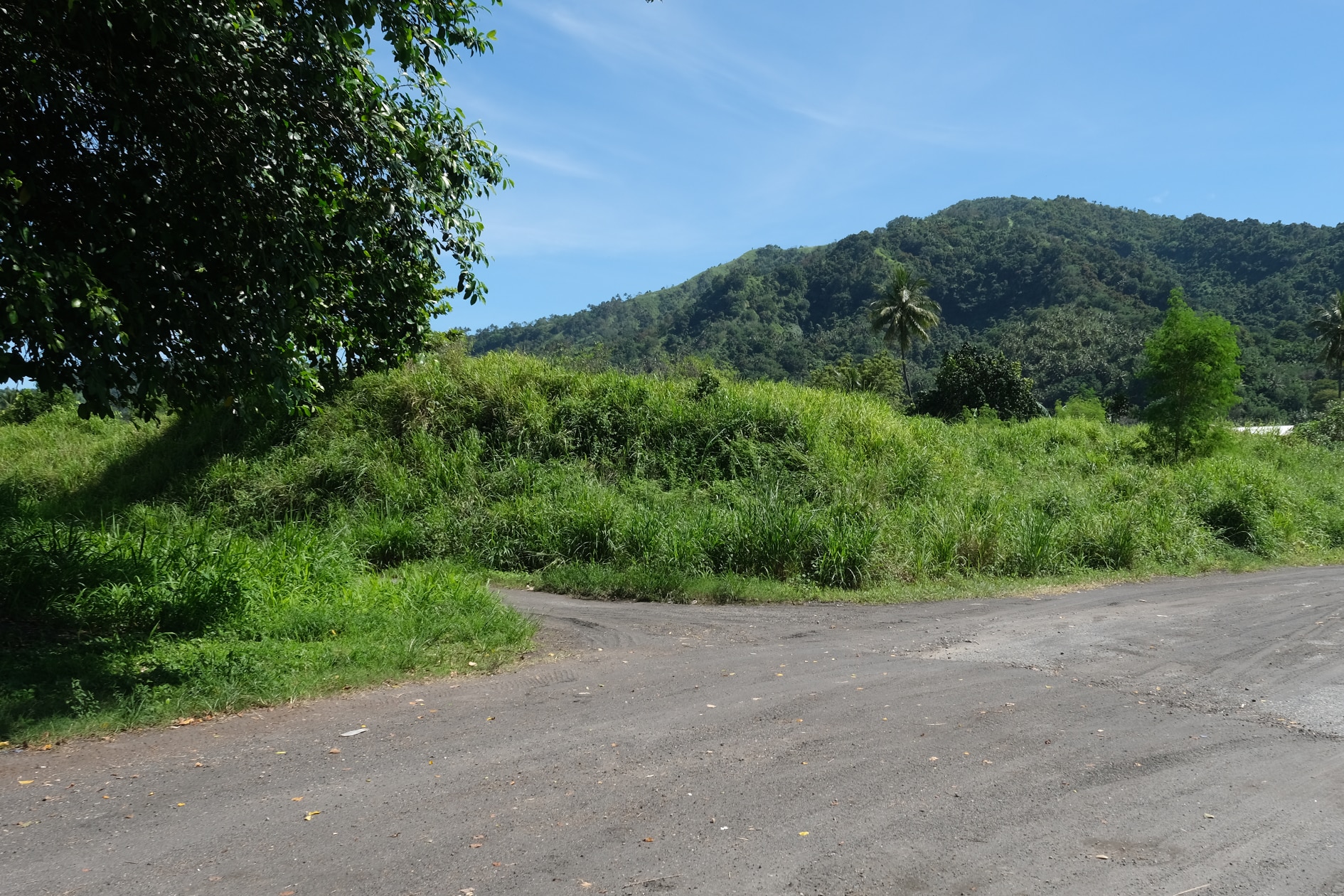 Volcanic eruptions buried Rabaul. Years later, residents live alongside ...