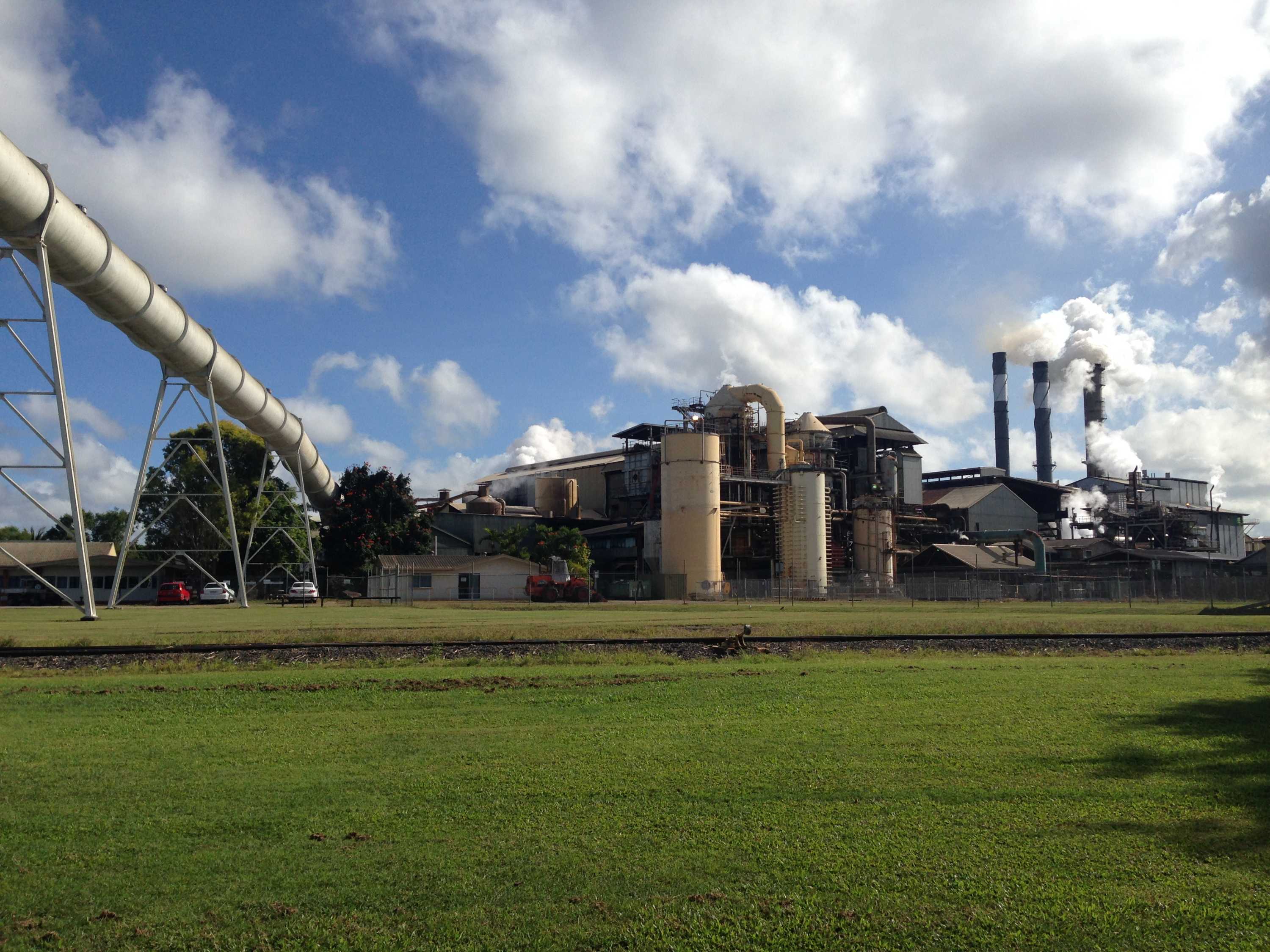 Mysterious syndrome destroying Queensland sugarcane forces growers to ...