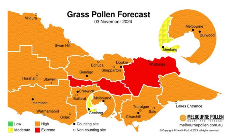 Hay fever and asthma sufferers warned to take care amid high grass ...