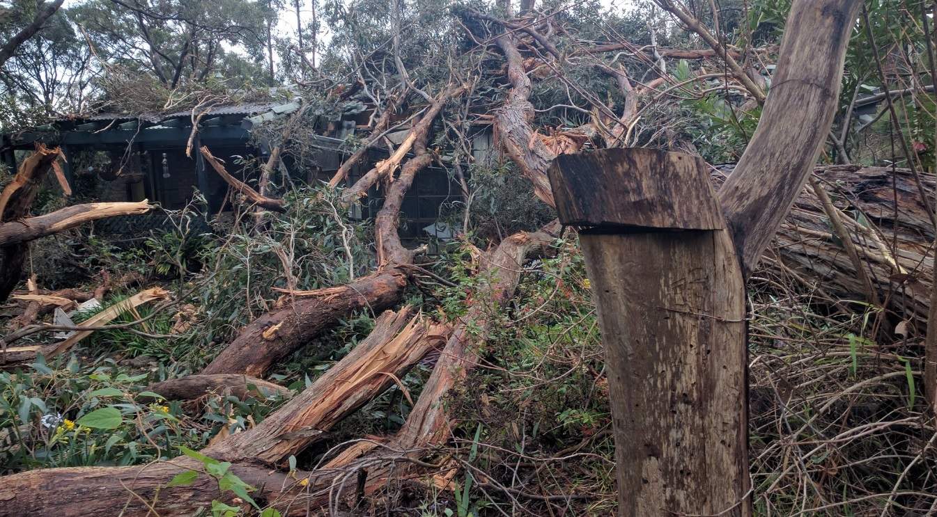 Floods, hail, storm surges: Why Adelaide's weather has gone a little ...