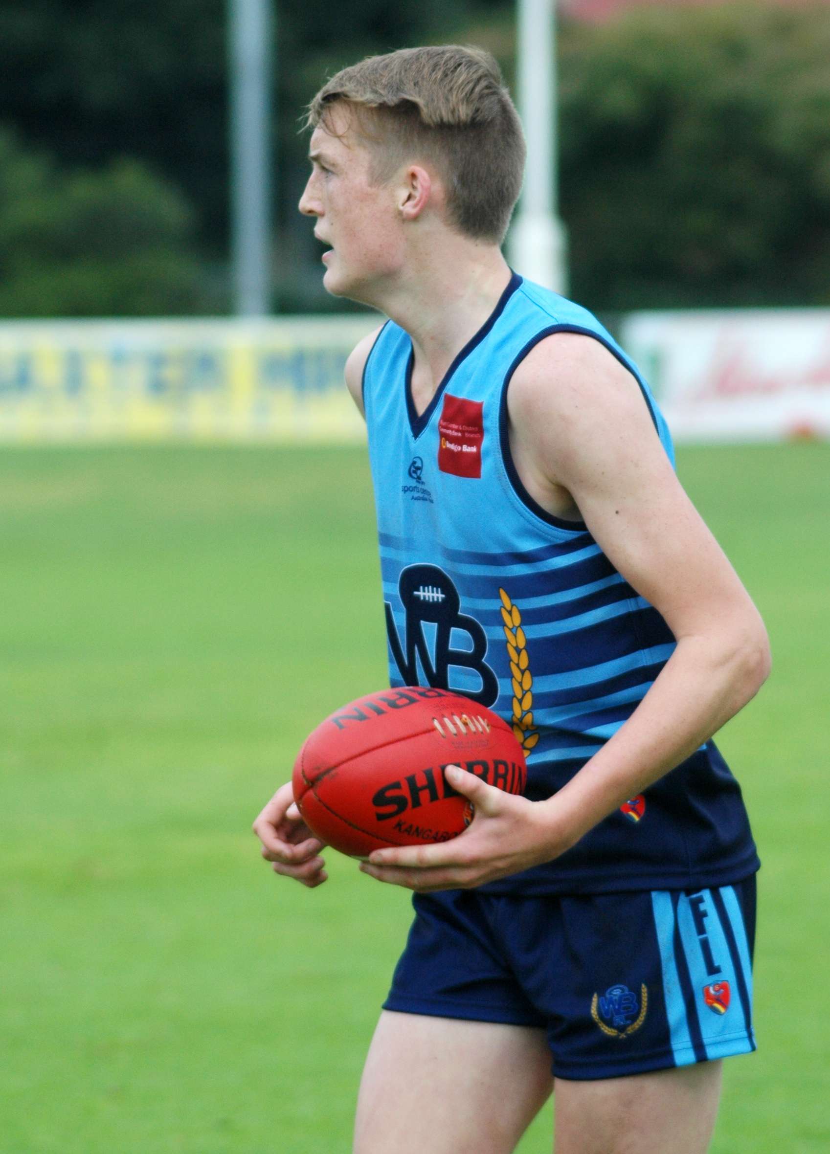 South-east SA footballers slated for AFL success after selection in ...