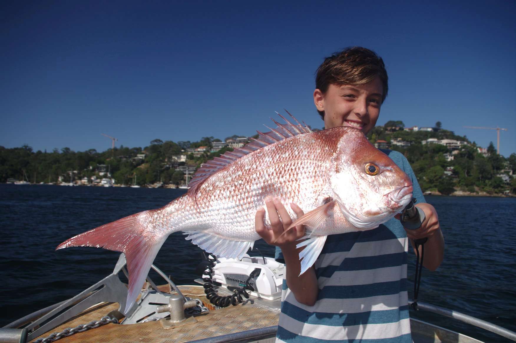 18lb Sydney Harbour Snapper on The Big Fish - ABC listen