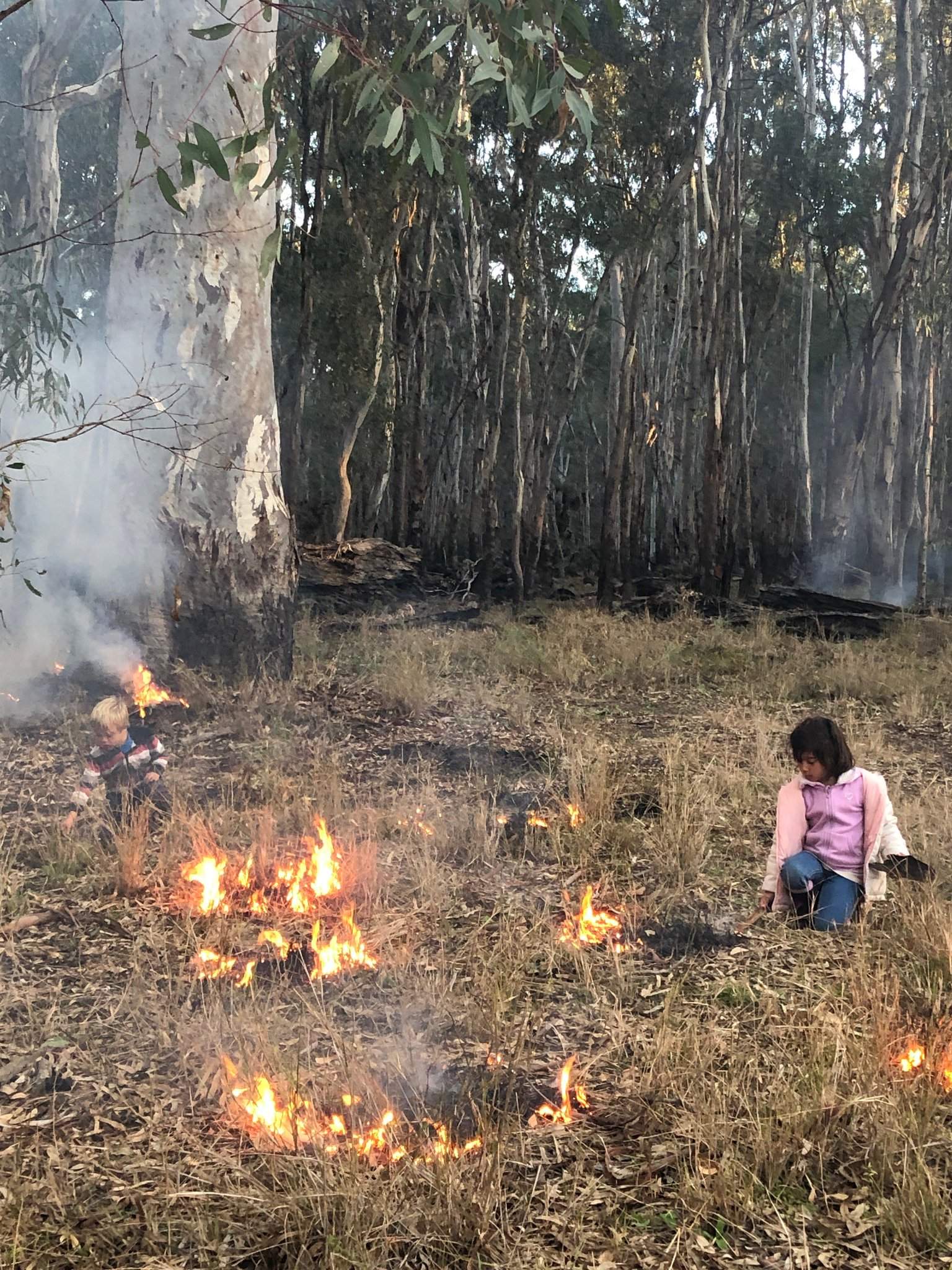 Aboriginal leaders to be included in NSW's top bushfire planning ...
