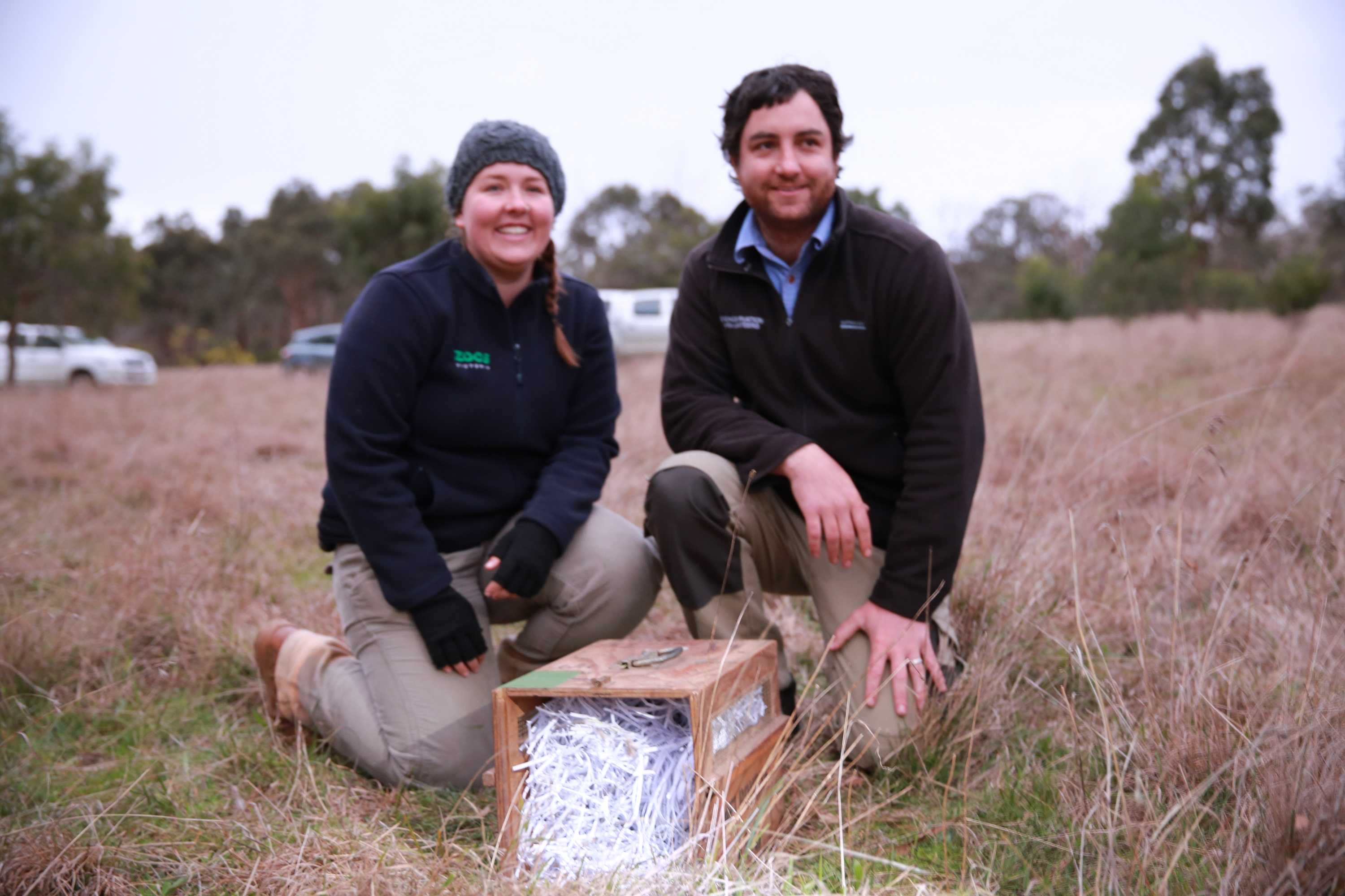 Off Track with Ann Jones - ABC listen