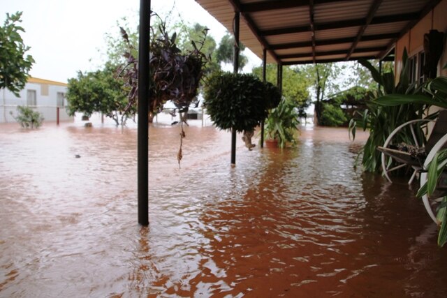 Coping with natural disasters - ABC News