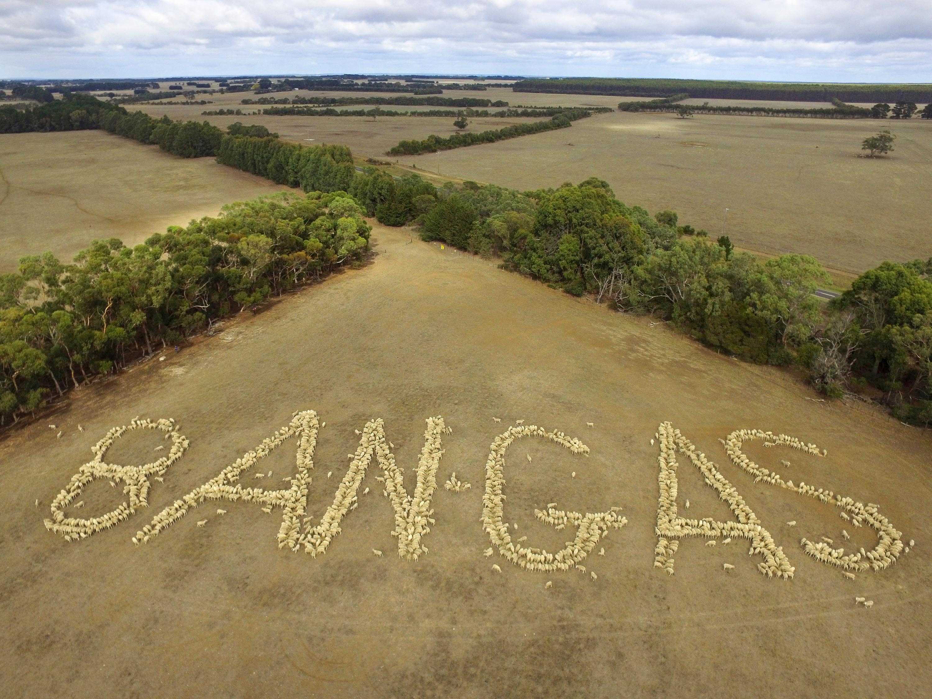 Fracking ban to be introduced in Victoria after Coalition backs ...