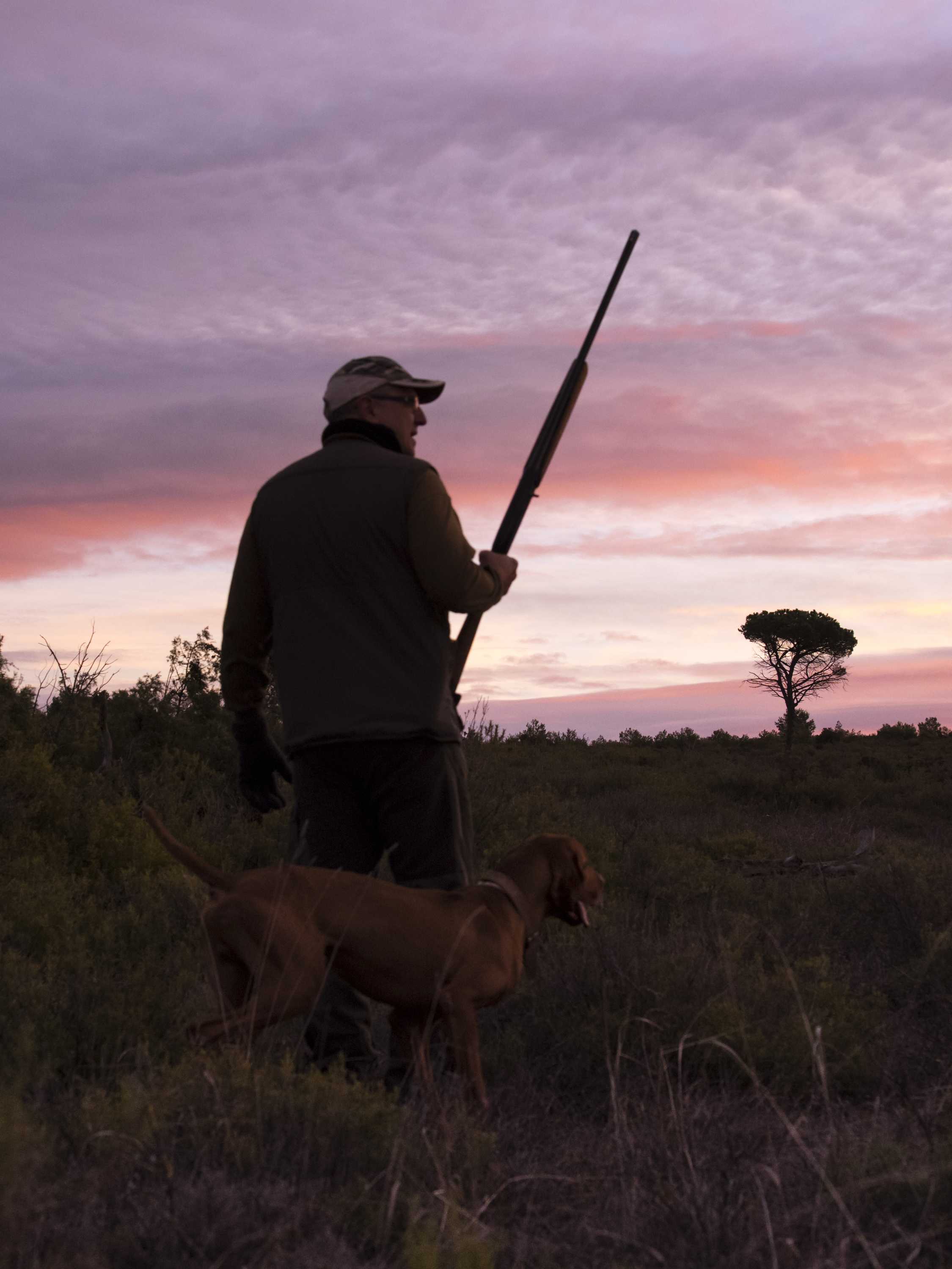 Ethical hunters hope to change public perceptions - ABC Radio National