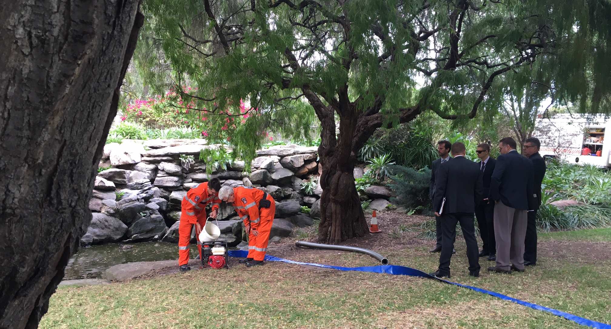 Veale Gardens pond drained as police investigate Helen Dansie's death ...