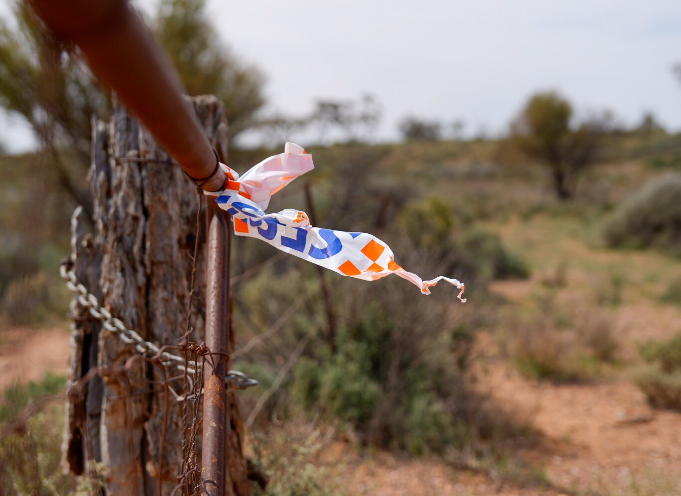 Police horses and water operations join 'extensive' search for missing ...