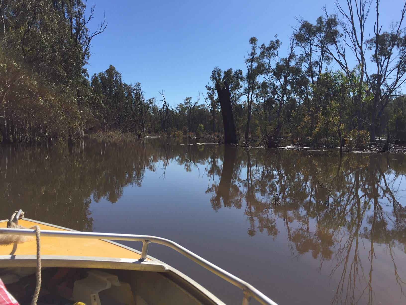Lower Goulburn River floodwaters bring environment to life in wetlands ...