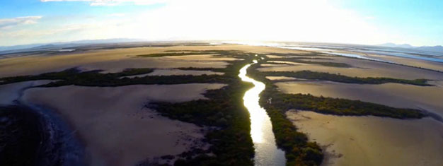 More laws needed to protect central Queensland wetlands near Barrier ...