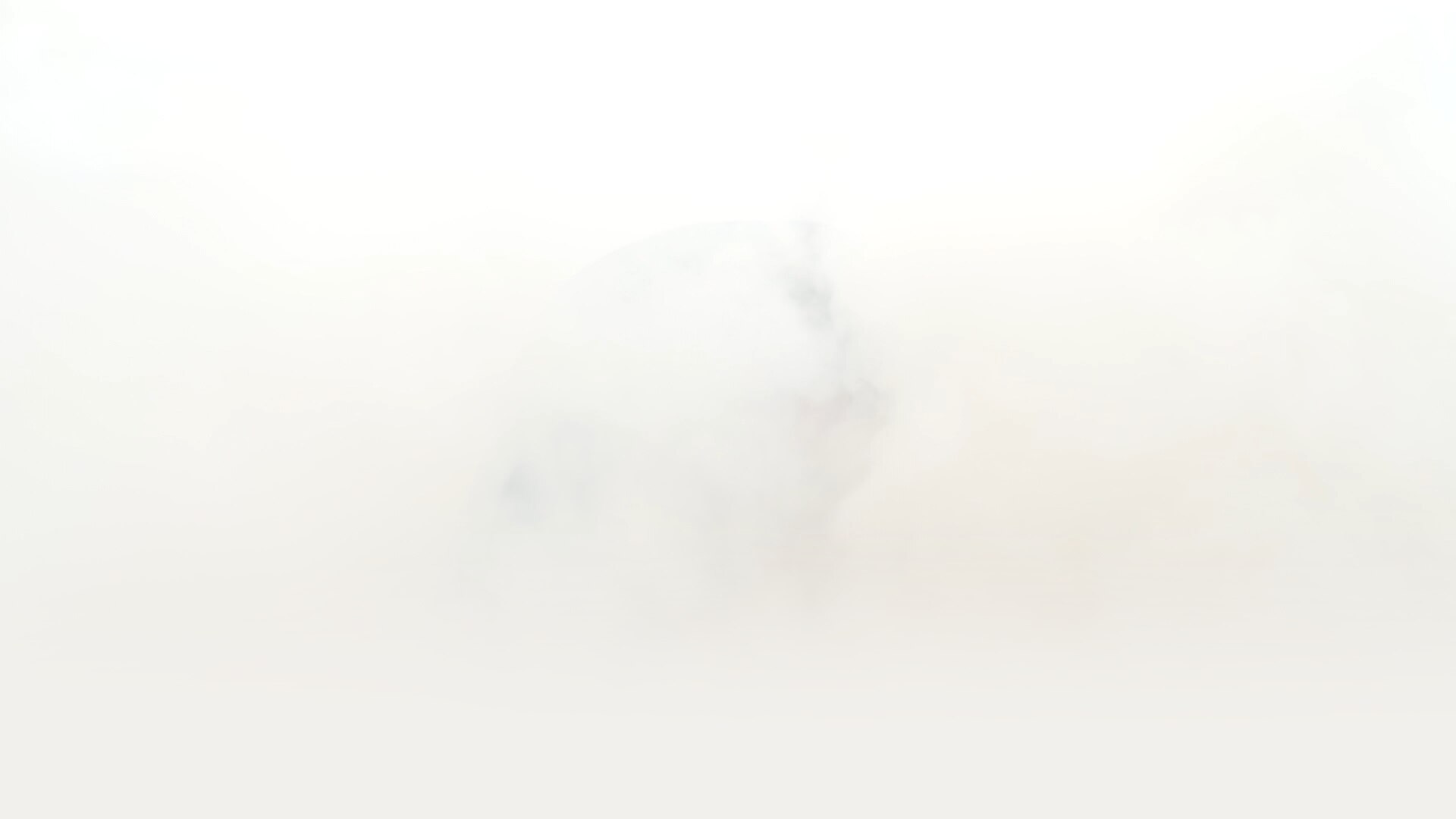 Travis Lovett - ABC News