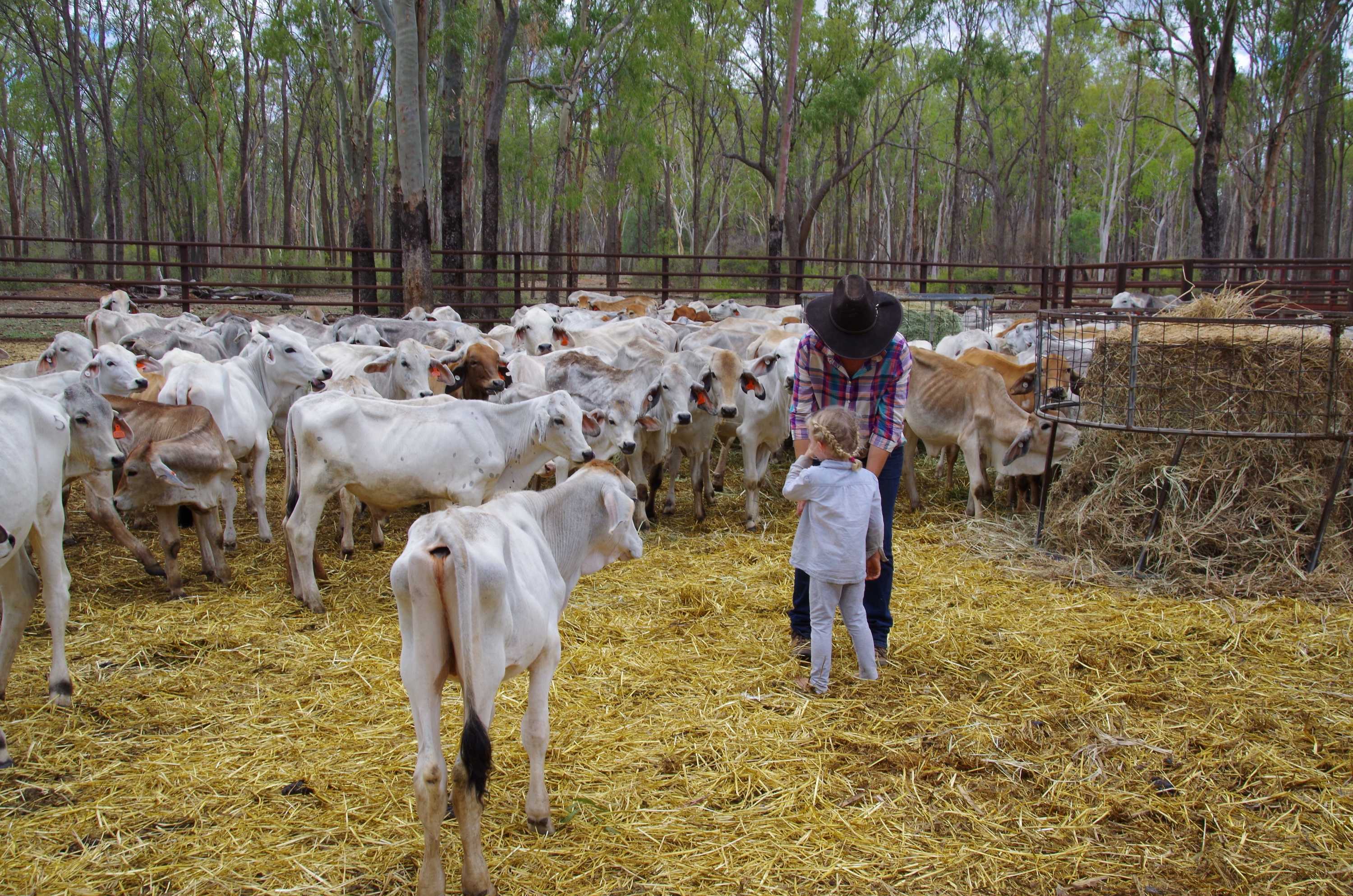 Aussie Helpers charity: Meet the outback couple saving farming families ...