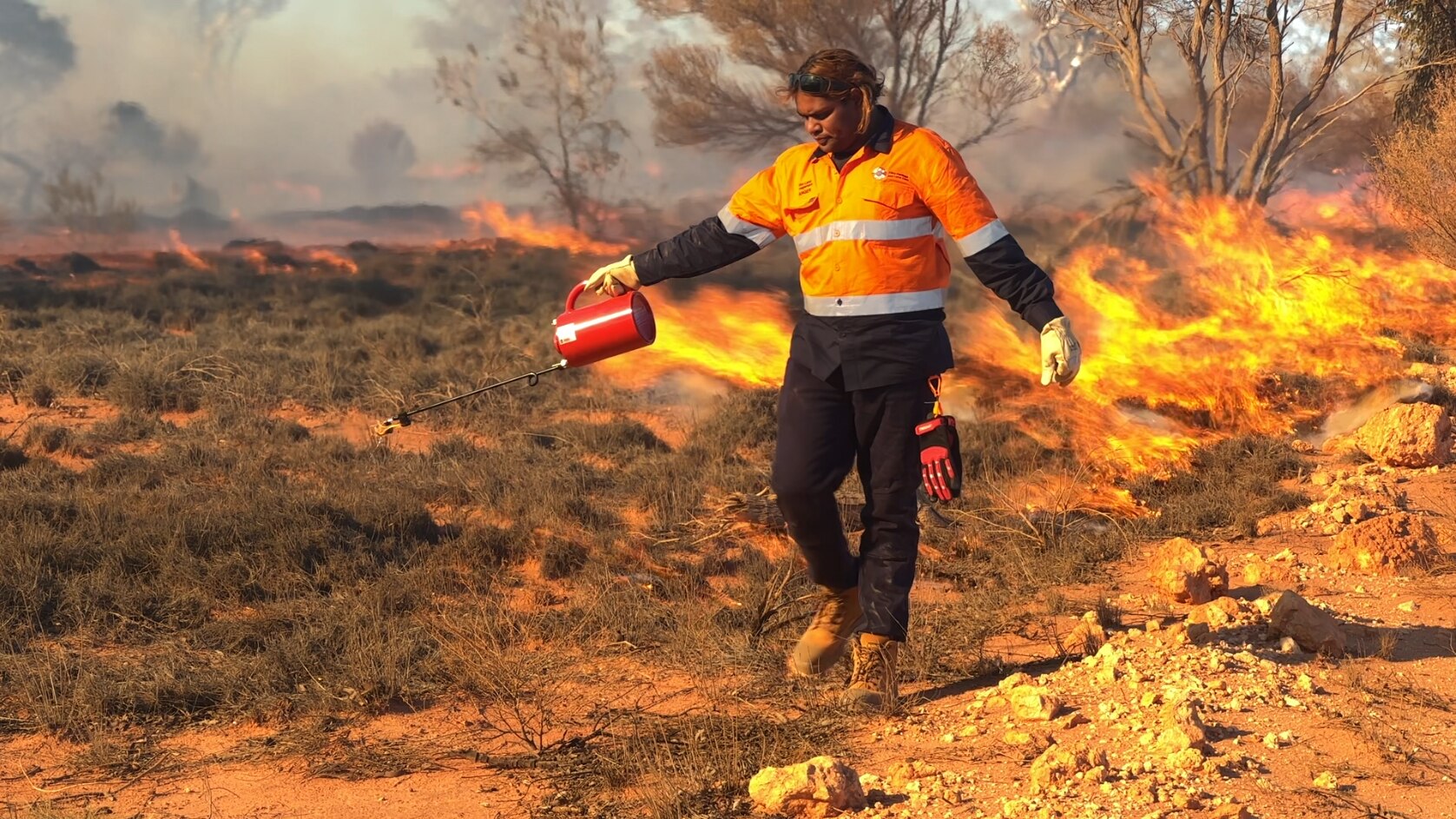 Aboriginal rangers turn to heli-burning to protect sandalwood amid ...