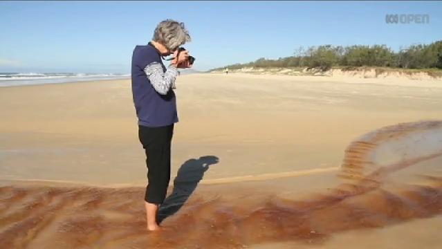 Finding beauty in the everyday - ABC Education