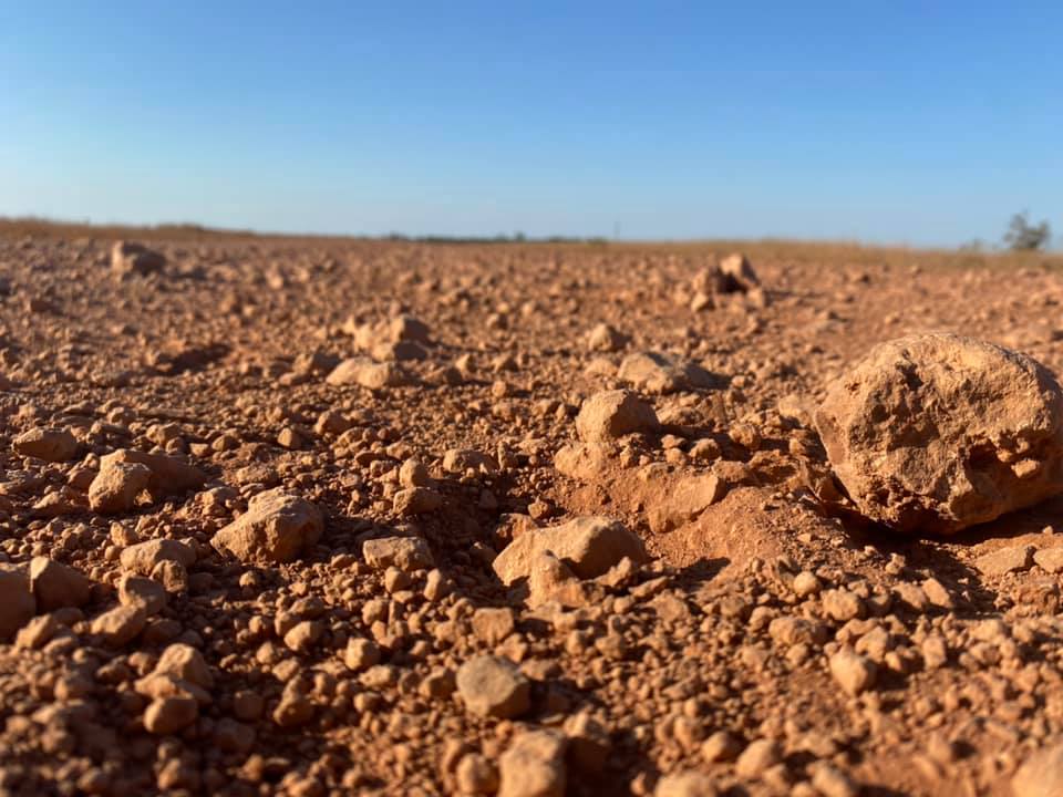 Angel Parsons - ABC News