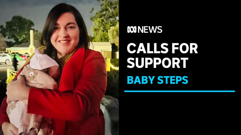 SA MP calls for more 'inclusive' parliament for parents - ABC News