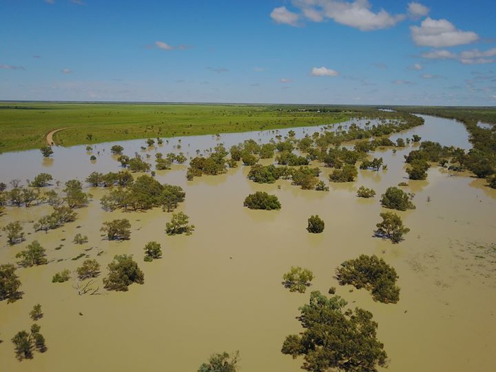 Lake Nash cattle station soaked with rain, Georgina River in flood ...