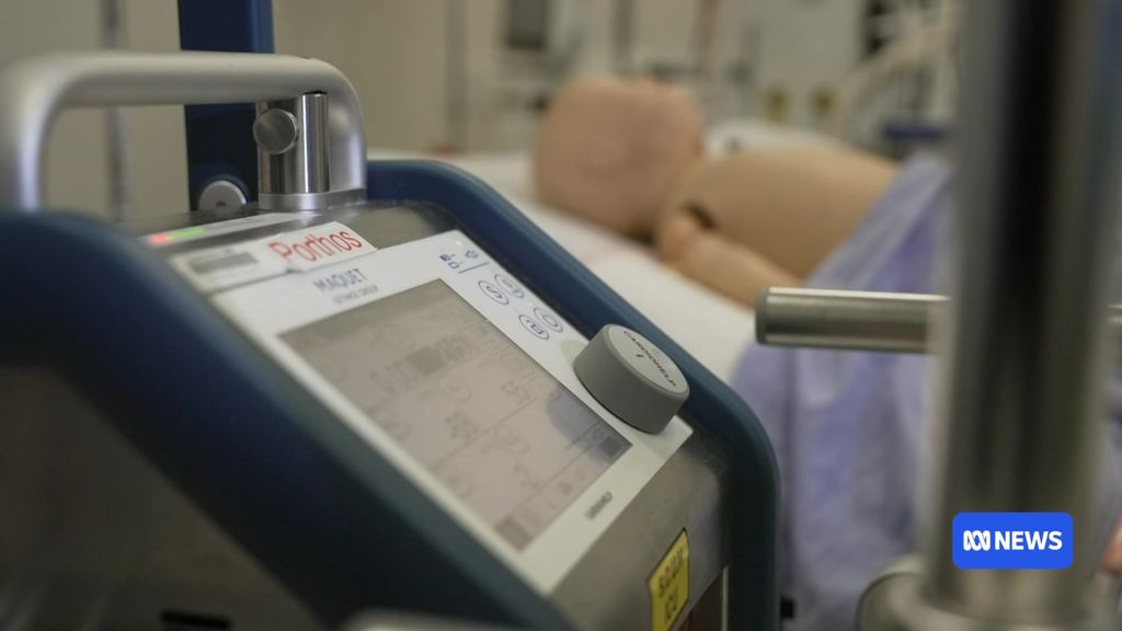 The high-tech ECMO machine saving lives and giving families a chance to ...