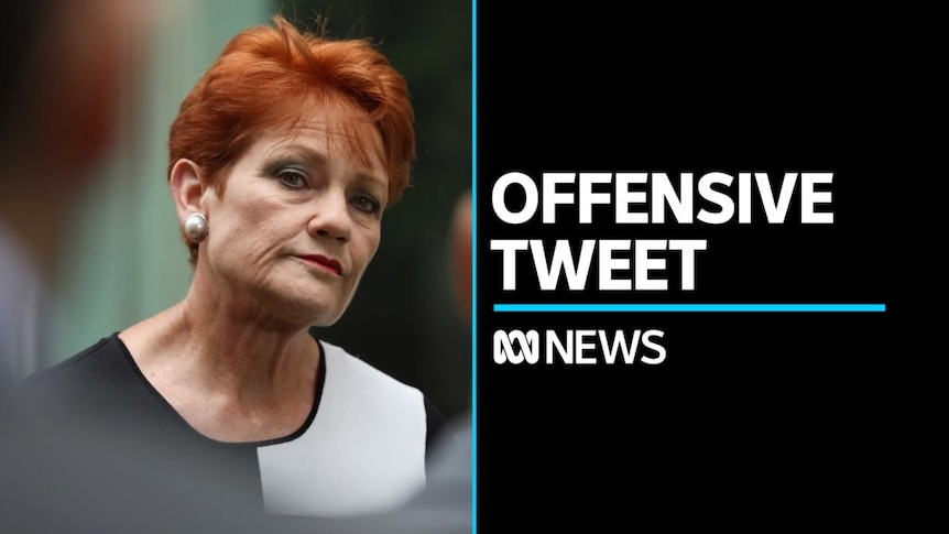 Greens senator Mehreen Faruqi sues Pauline Hanson over offensive tweet ... Greens senator Mehreen Faruqi sues Pauline Hanson over offensive tweet ...