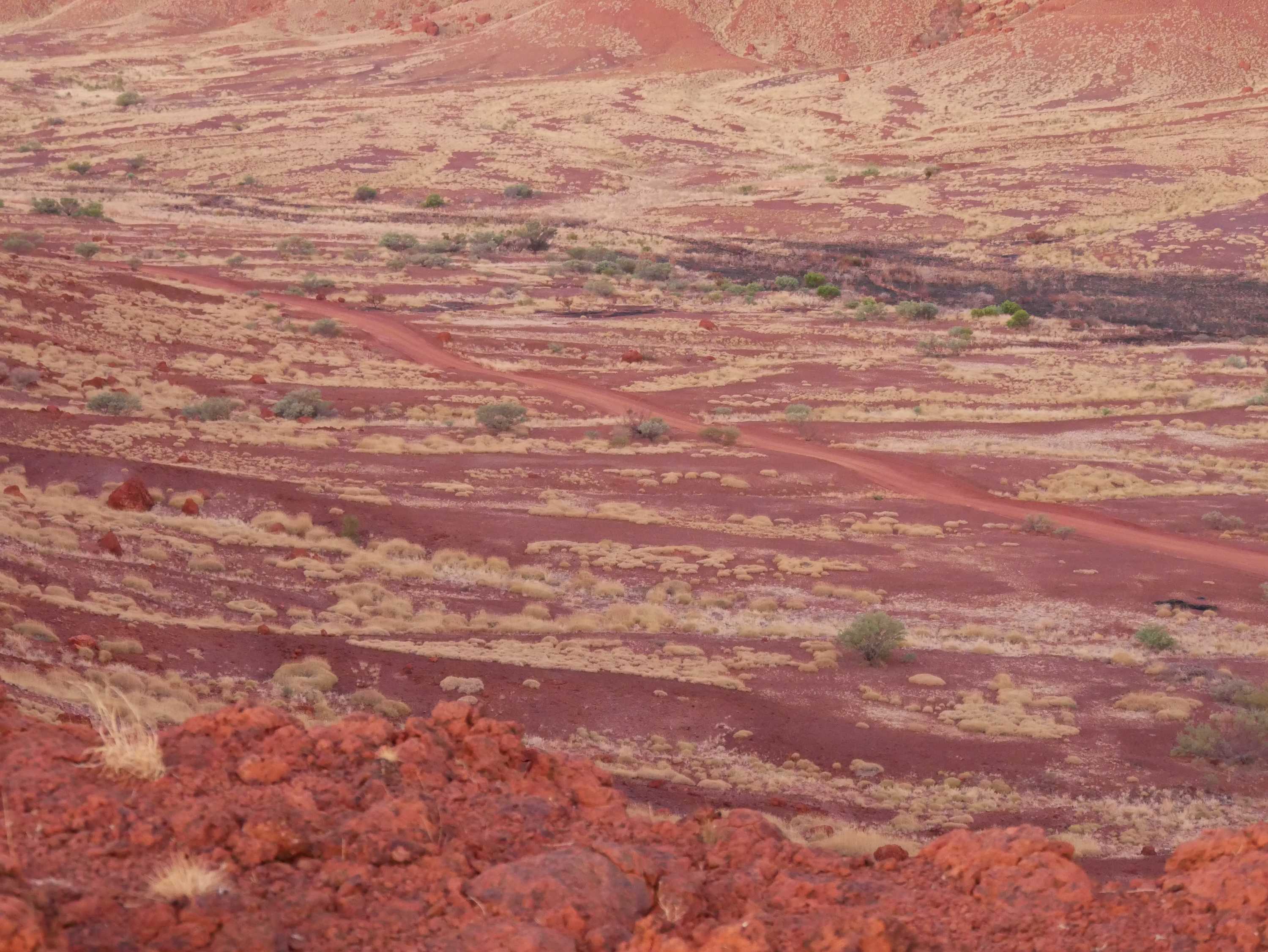 A cache of art, missing for almost 40 years, will be…