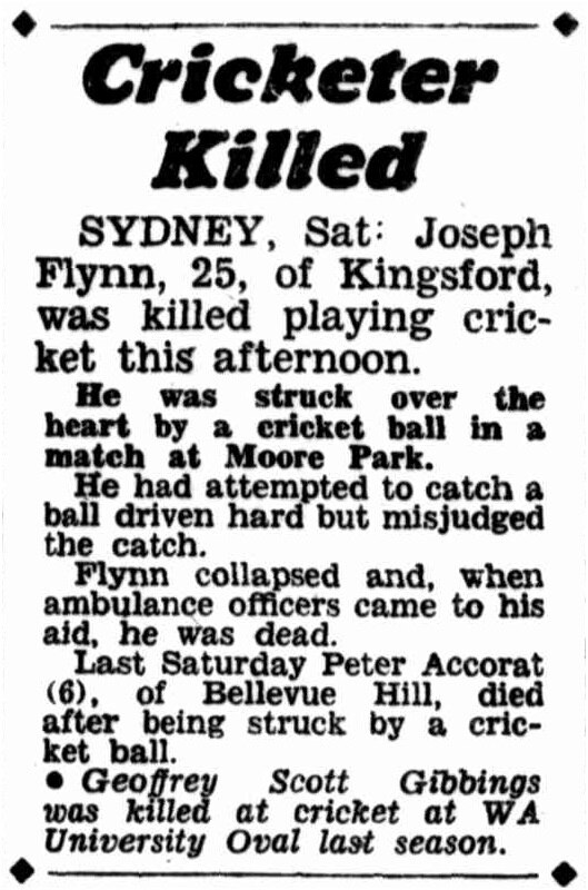 Cricket death report highlights need for more neck and chest protection ...