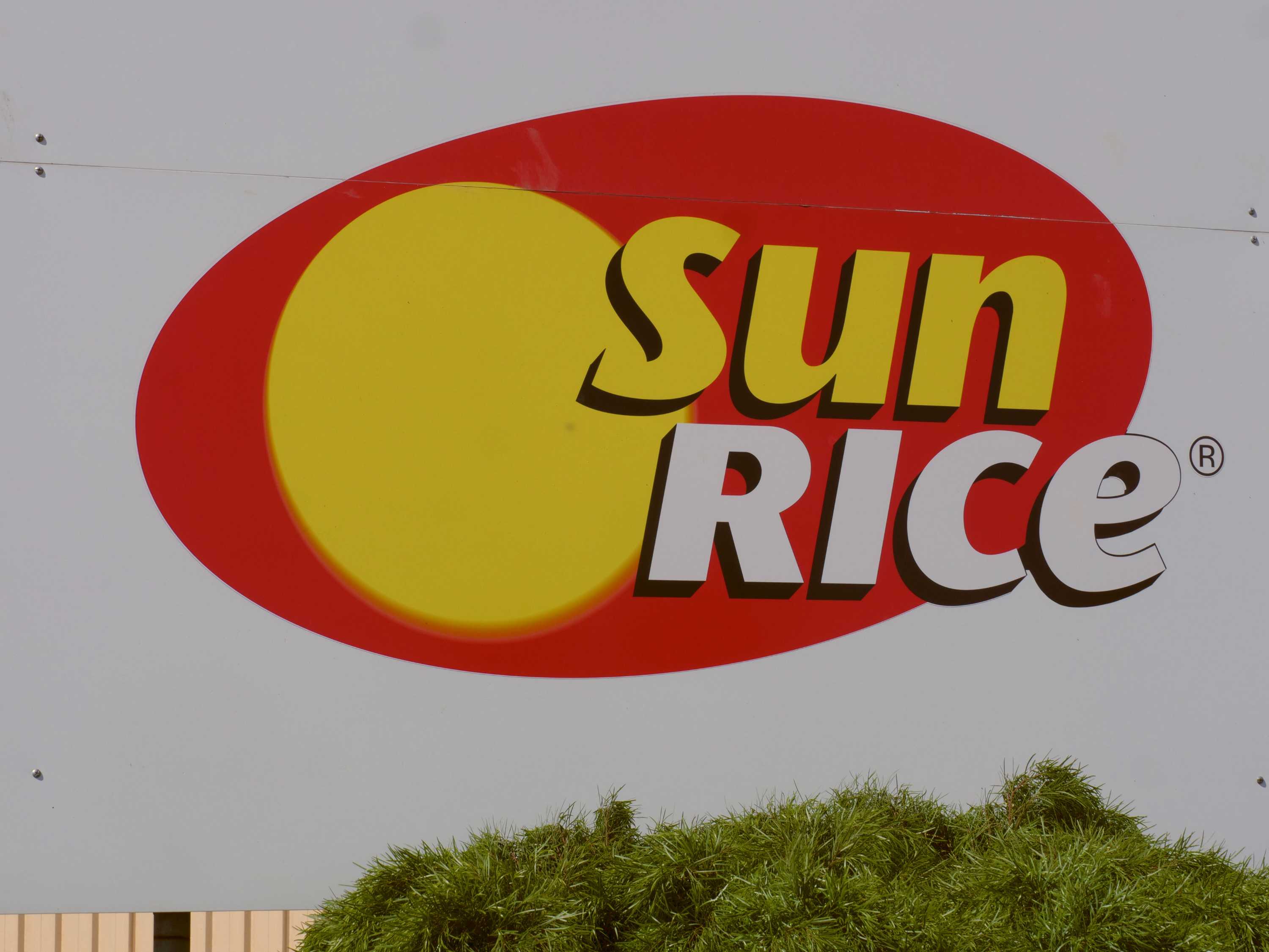 Australia's rice bowl primed for bumper harvest as production lifts ...