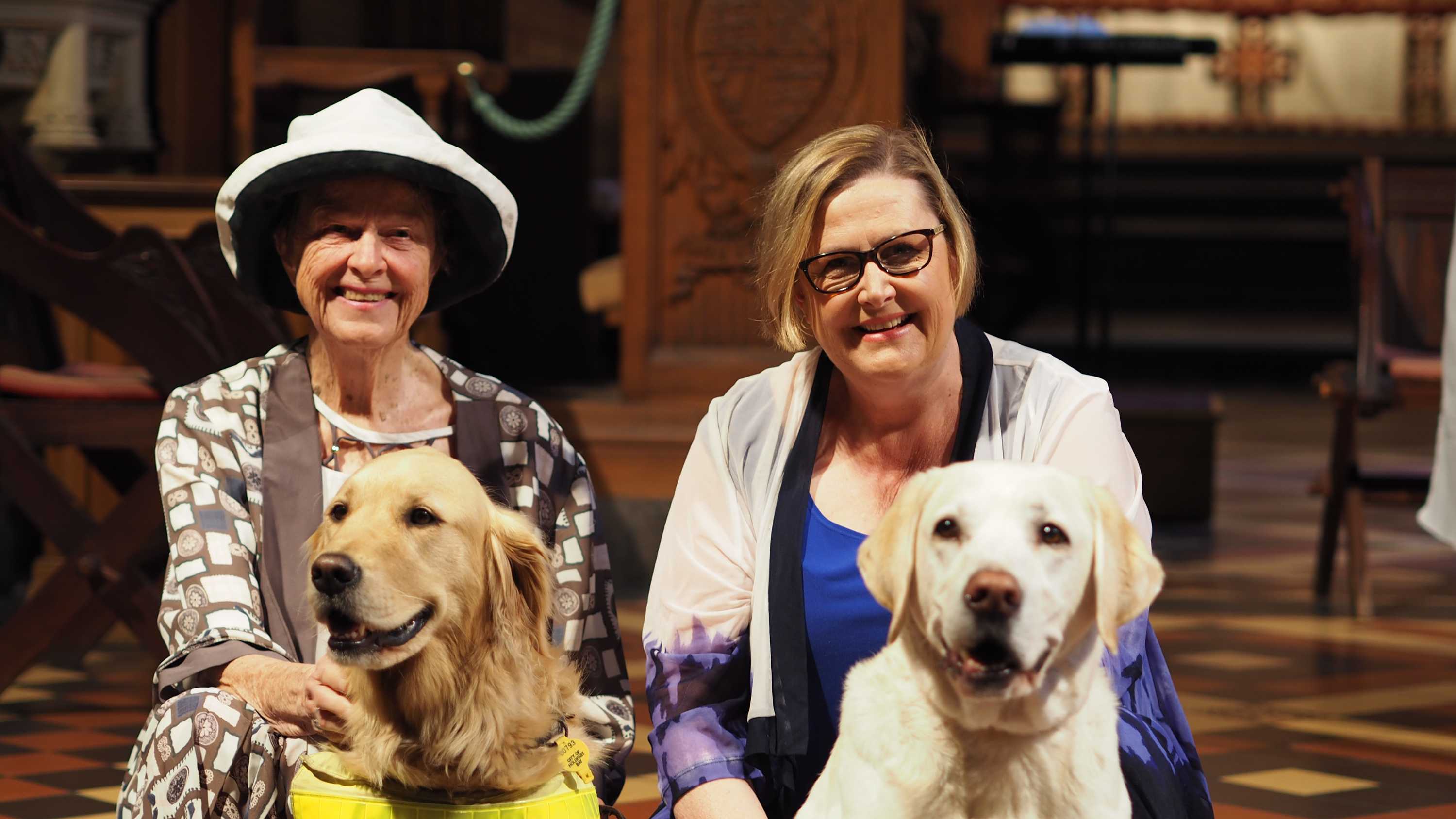 Nixon the retired guide dog proves Labradors can also lead lives of ...